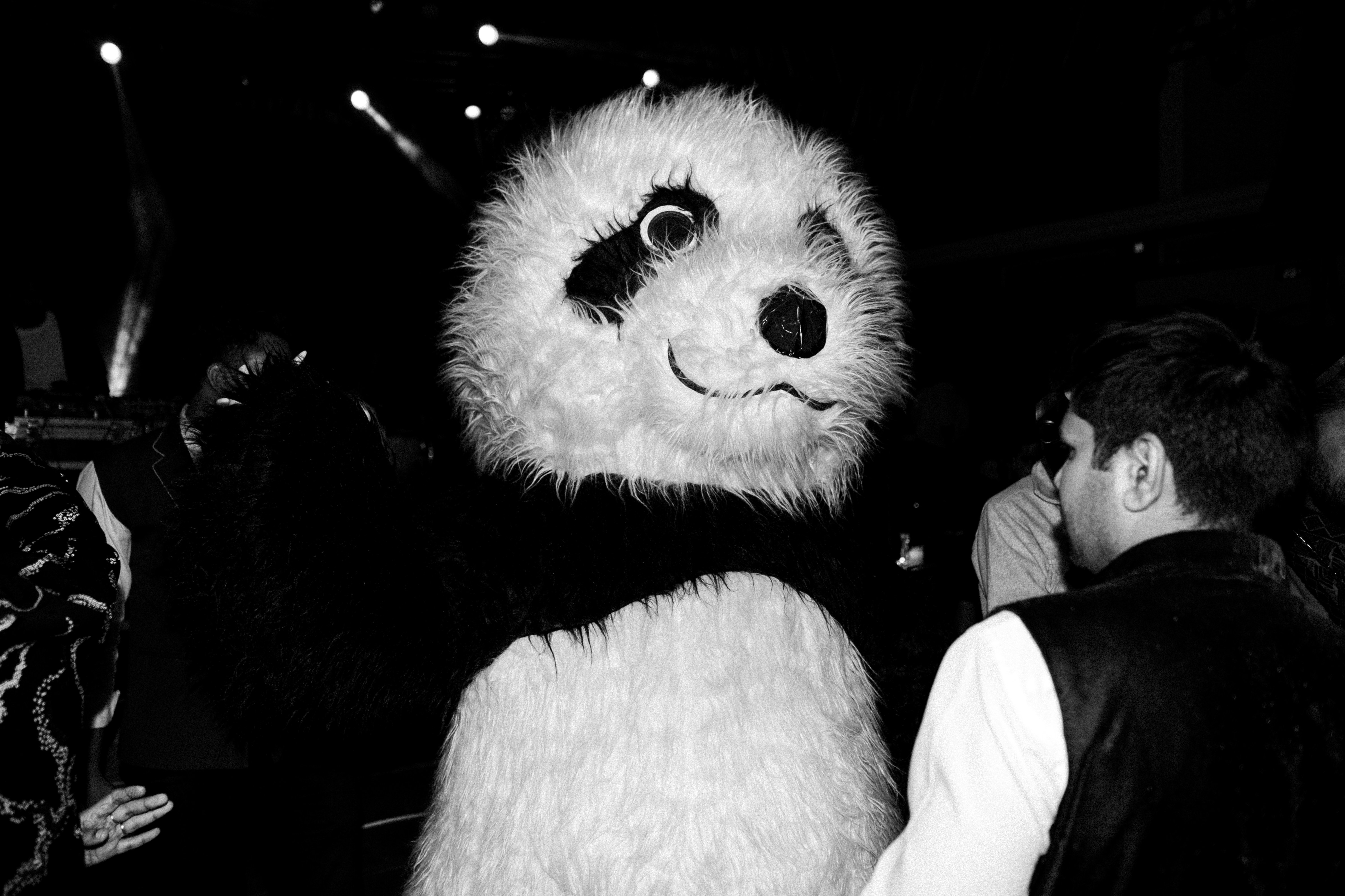 Panda in the Spotlight: A Velvet Night with a Costumed Character