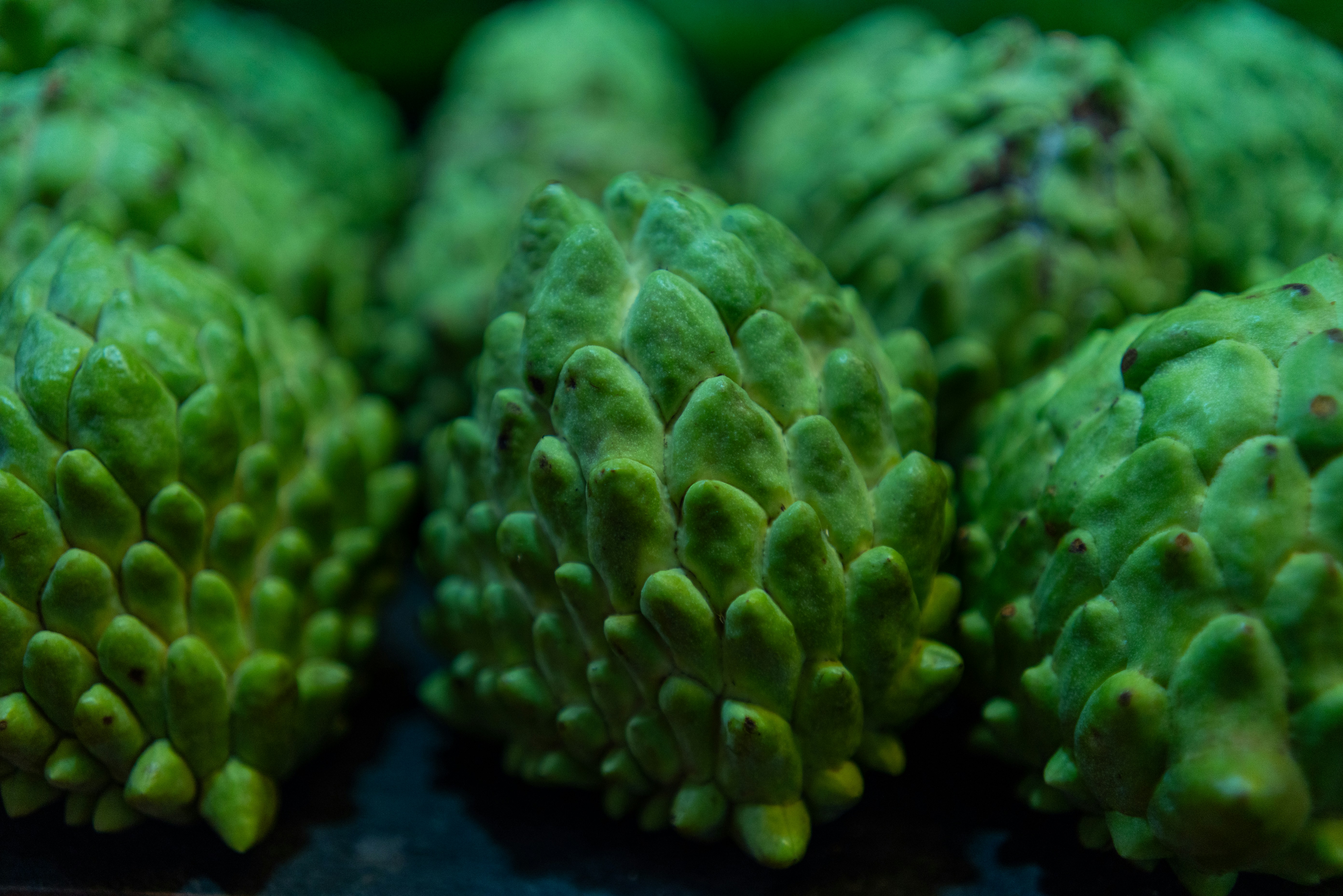 Emerald Spires: Nature's Artistry in Green