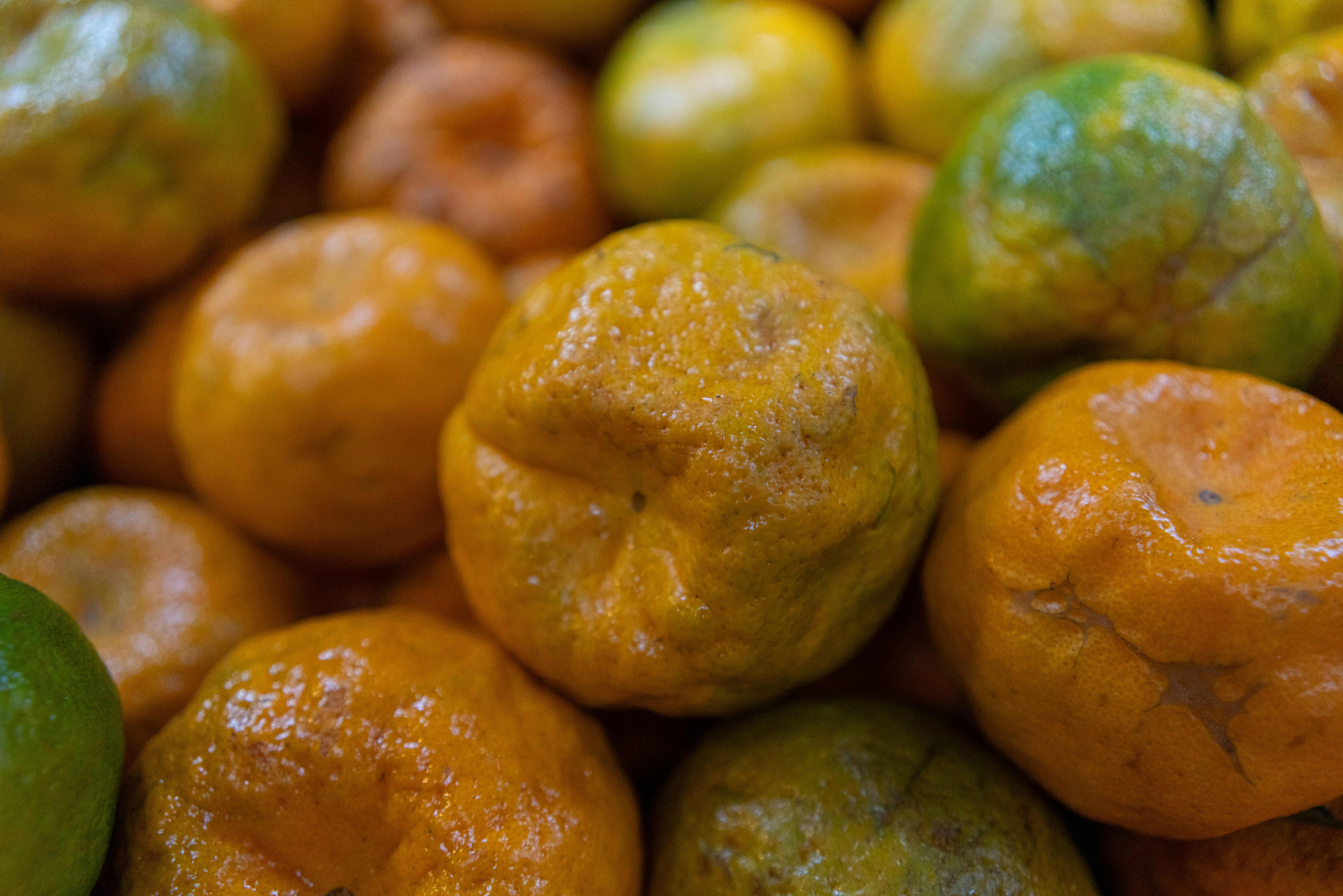 Amber Orbs in Soft Light: Close-Up of Citrus Texture