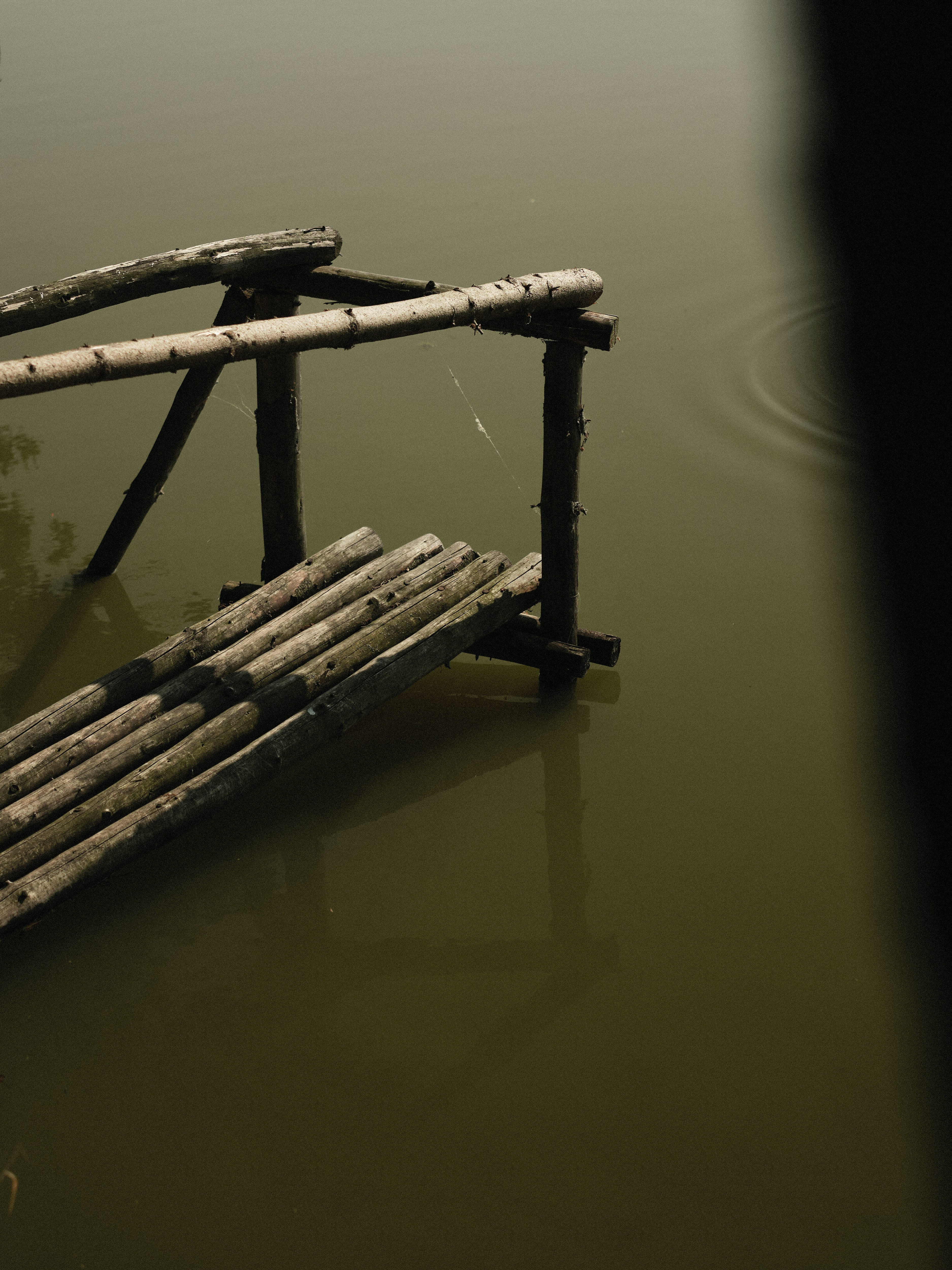 Spider Silk on Weathered Bamboo Pier Over Murky Water