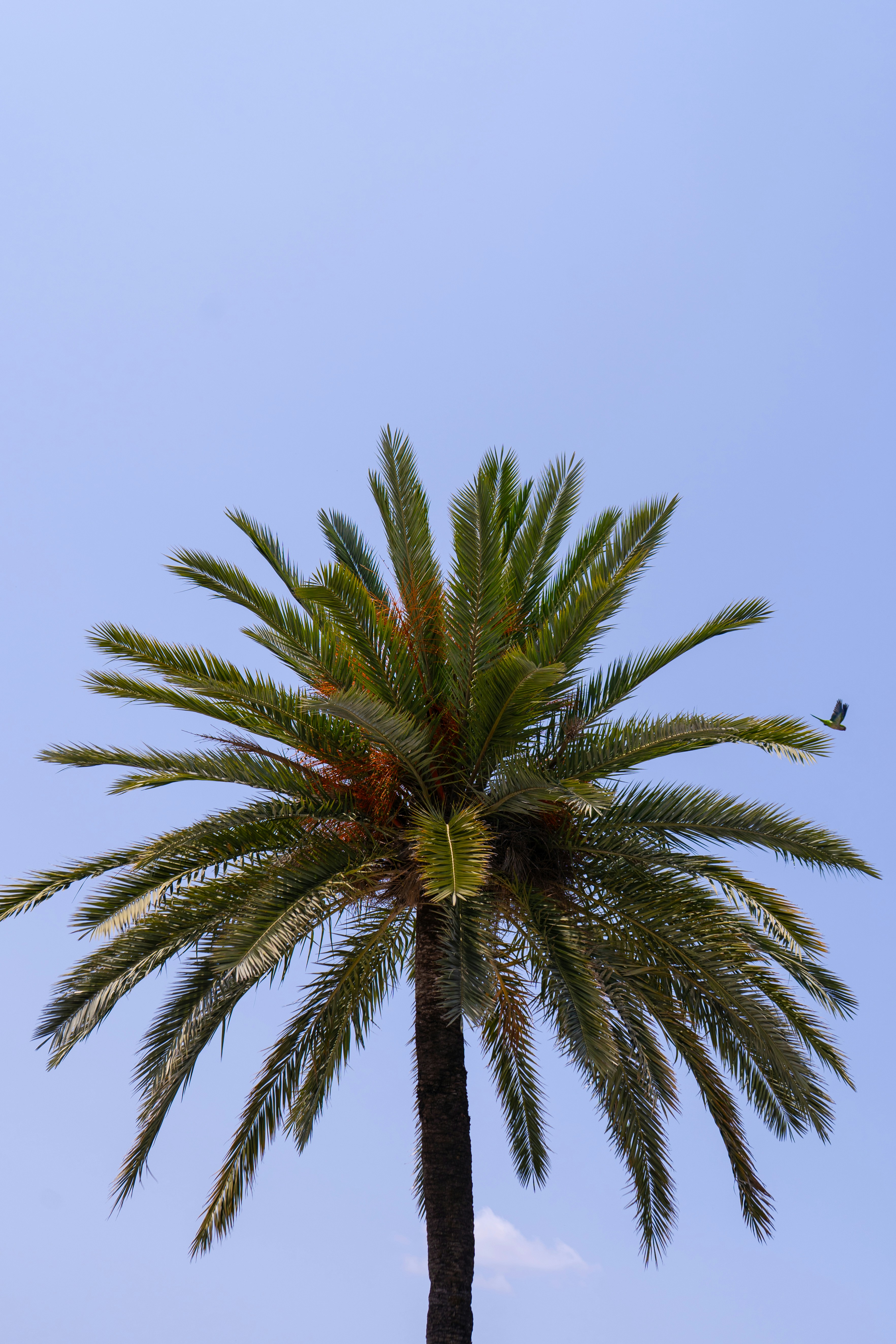 Catrin Ellis (@catrinellis) | Unsplashフォトコミュニティ