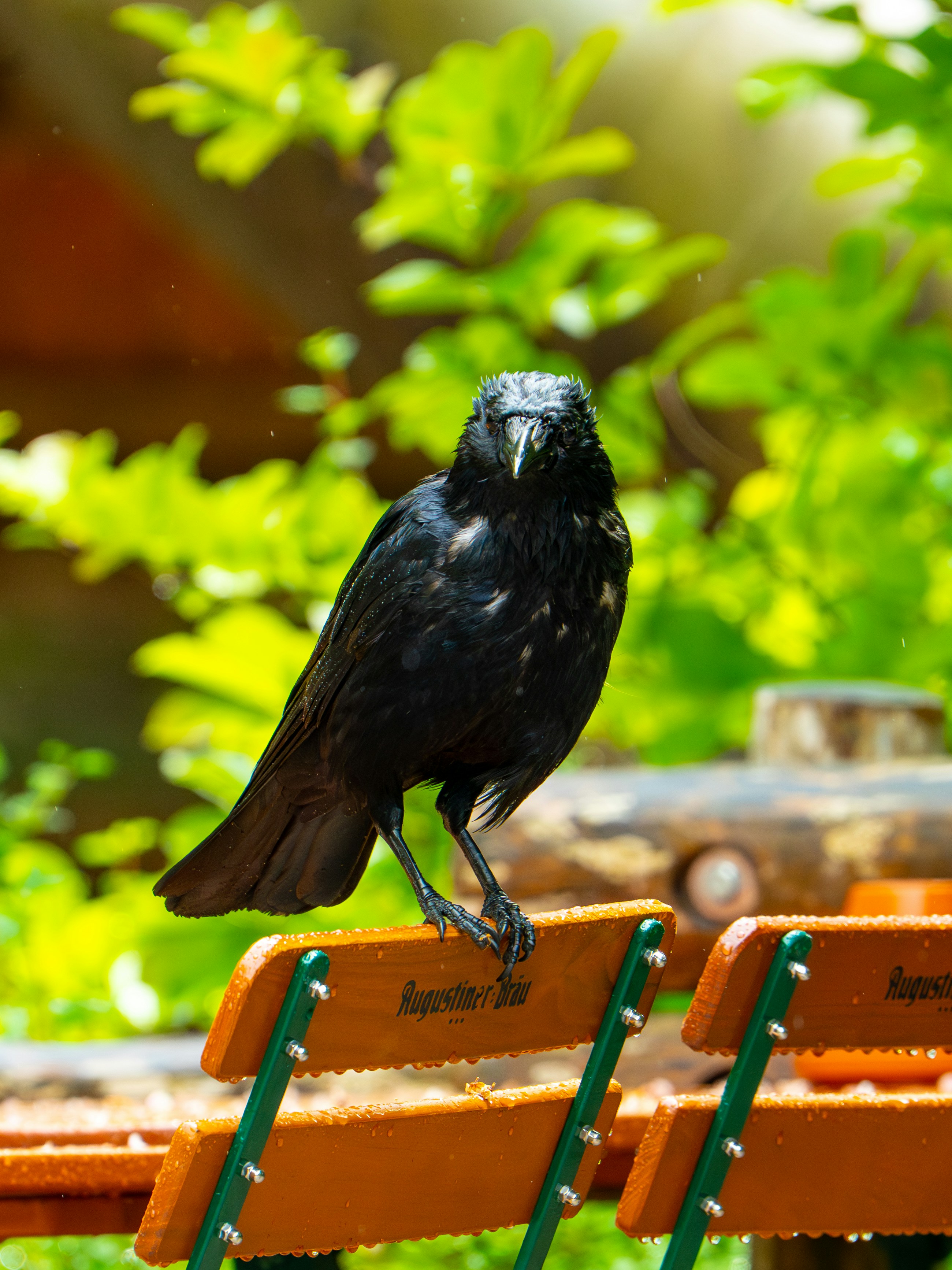 Philipp Mika (@breadcrumbs) | Komunitas Foto Unsplash