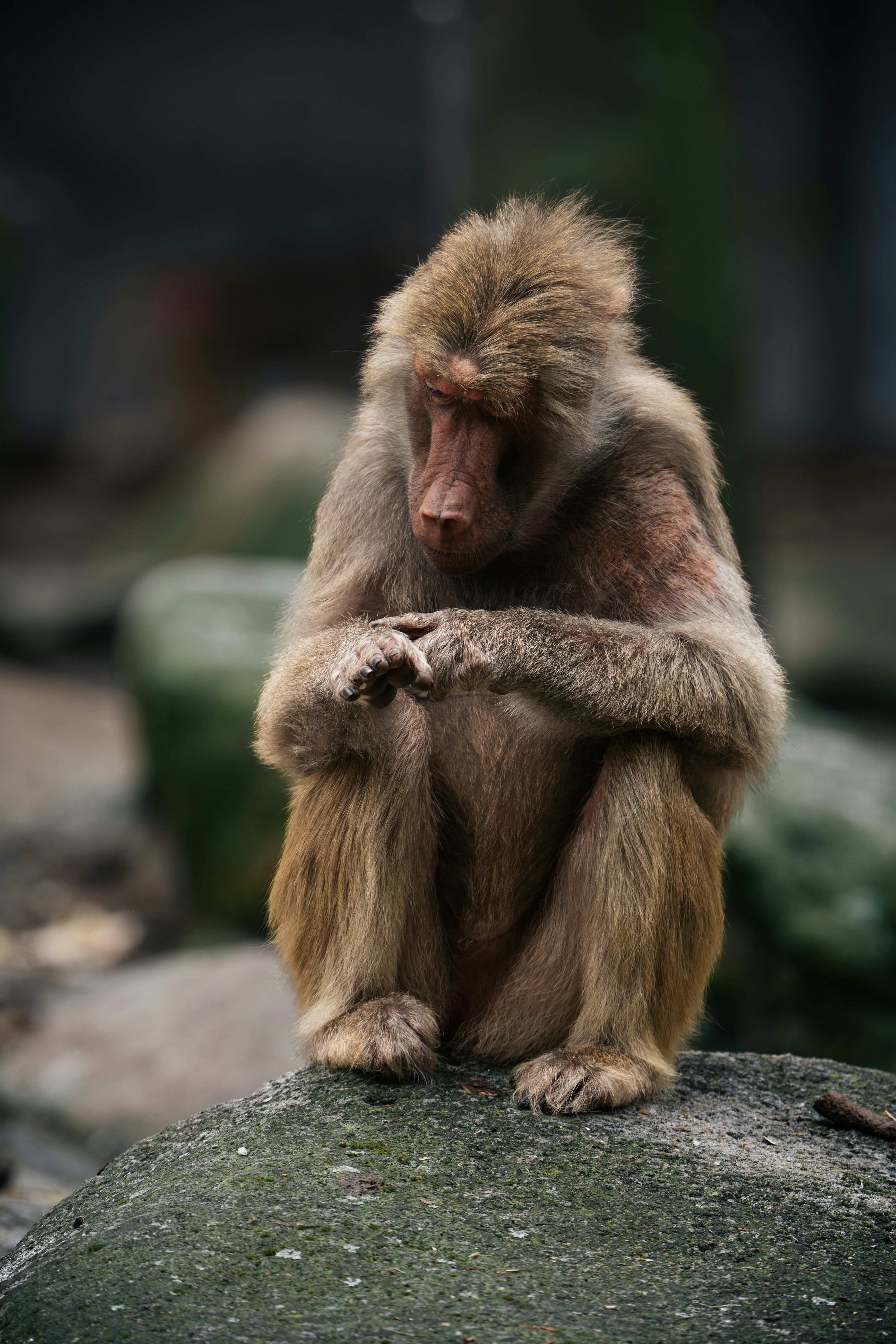 Philipp Mika (@breadcrumbs) | Komunitas Foto Unsplash