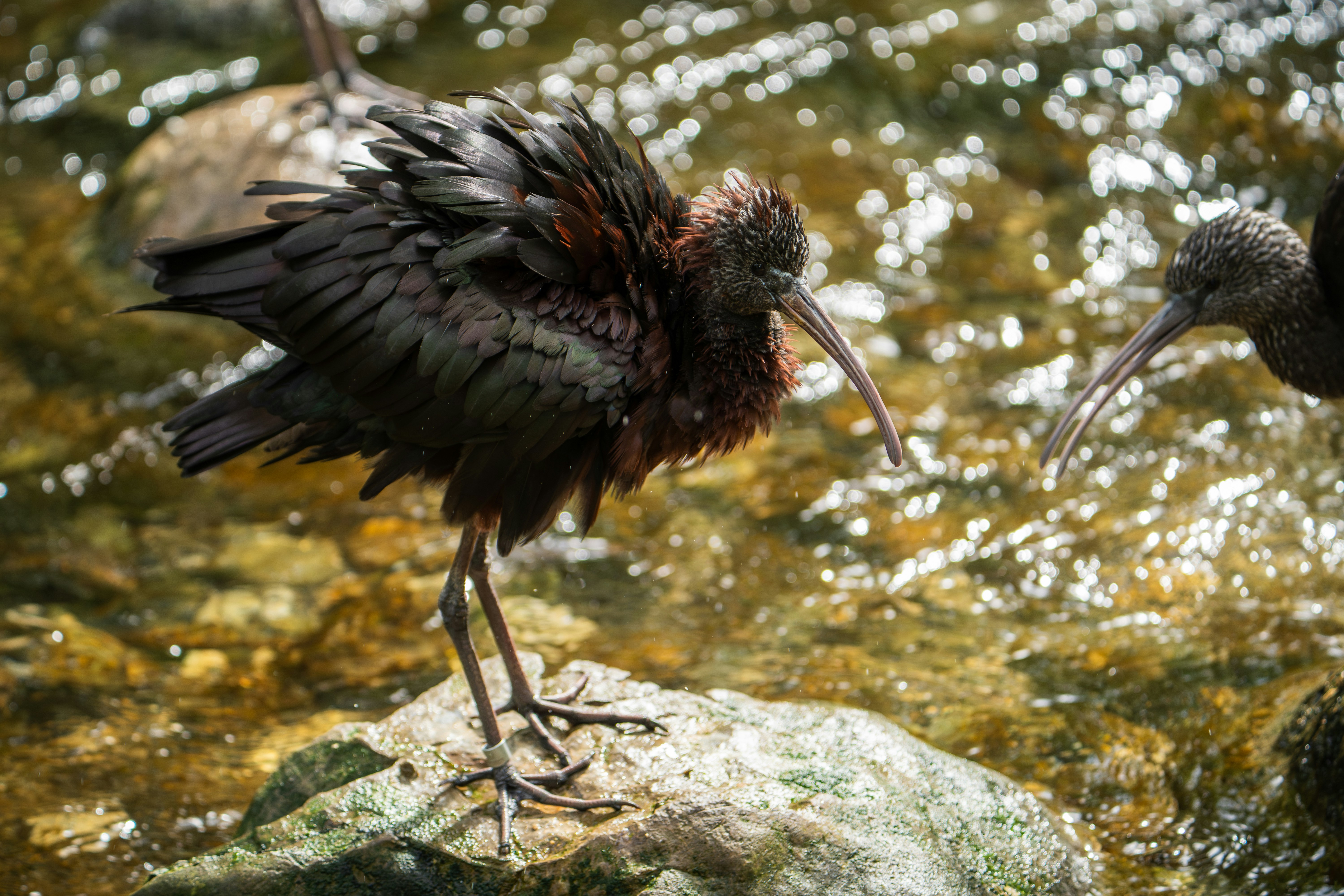 Philipp Mika (@breadcrumbs) | Komunitas Foto Unsplash