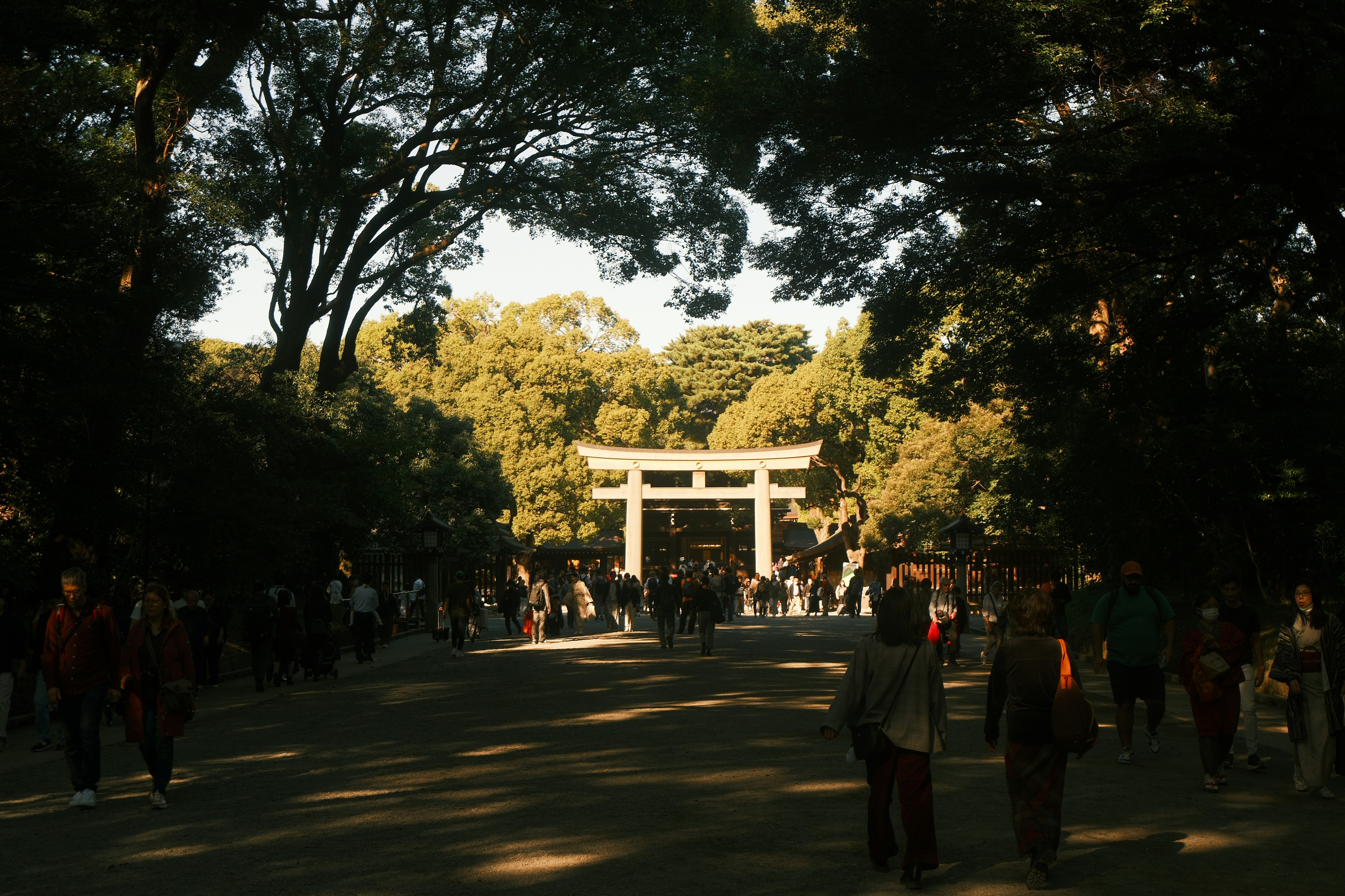 Gateway to Serenity: A Journey Through Nature and Culture