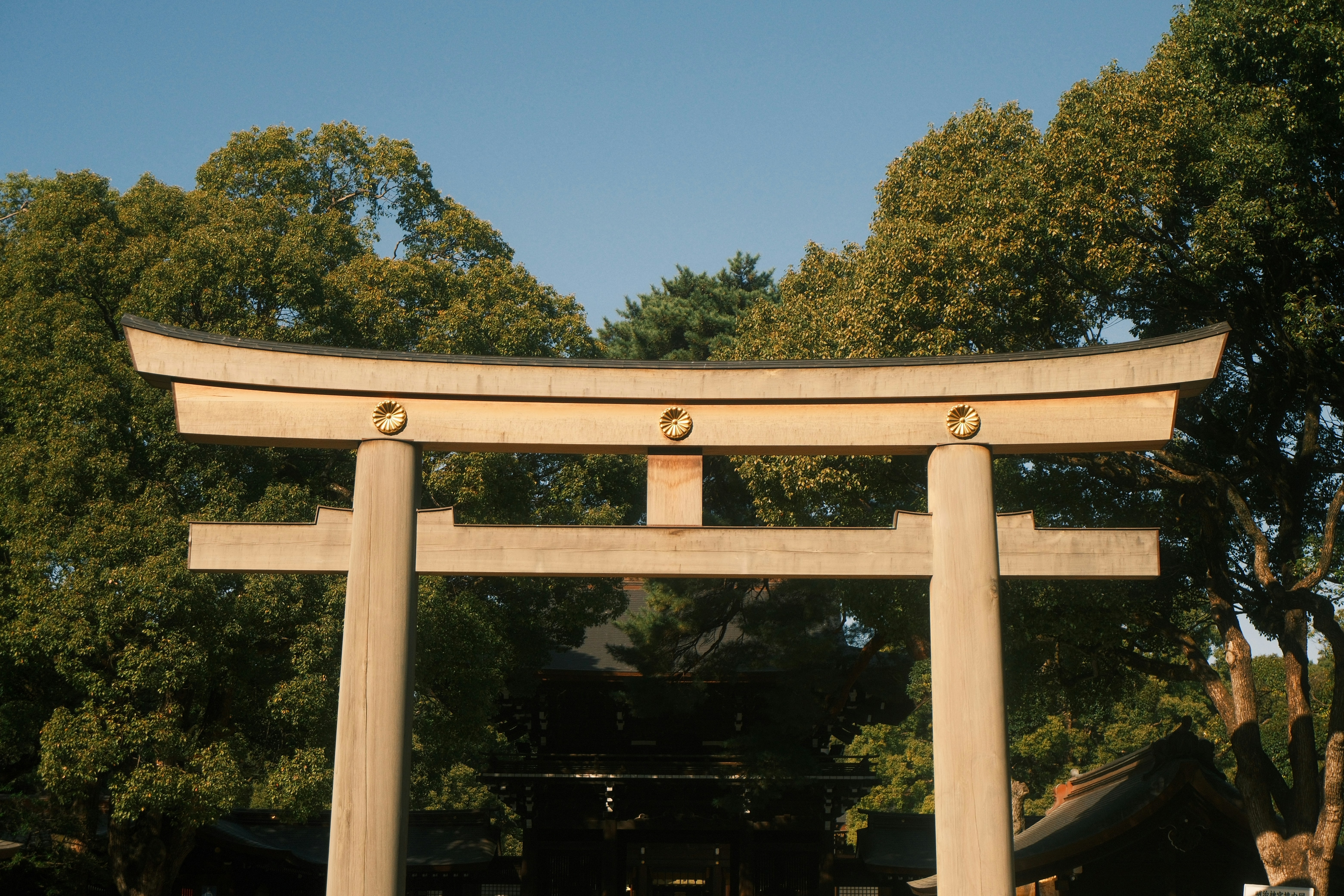 Photo by Airu with Fujifilm X-S20