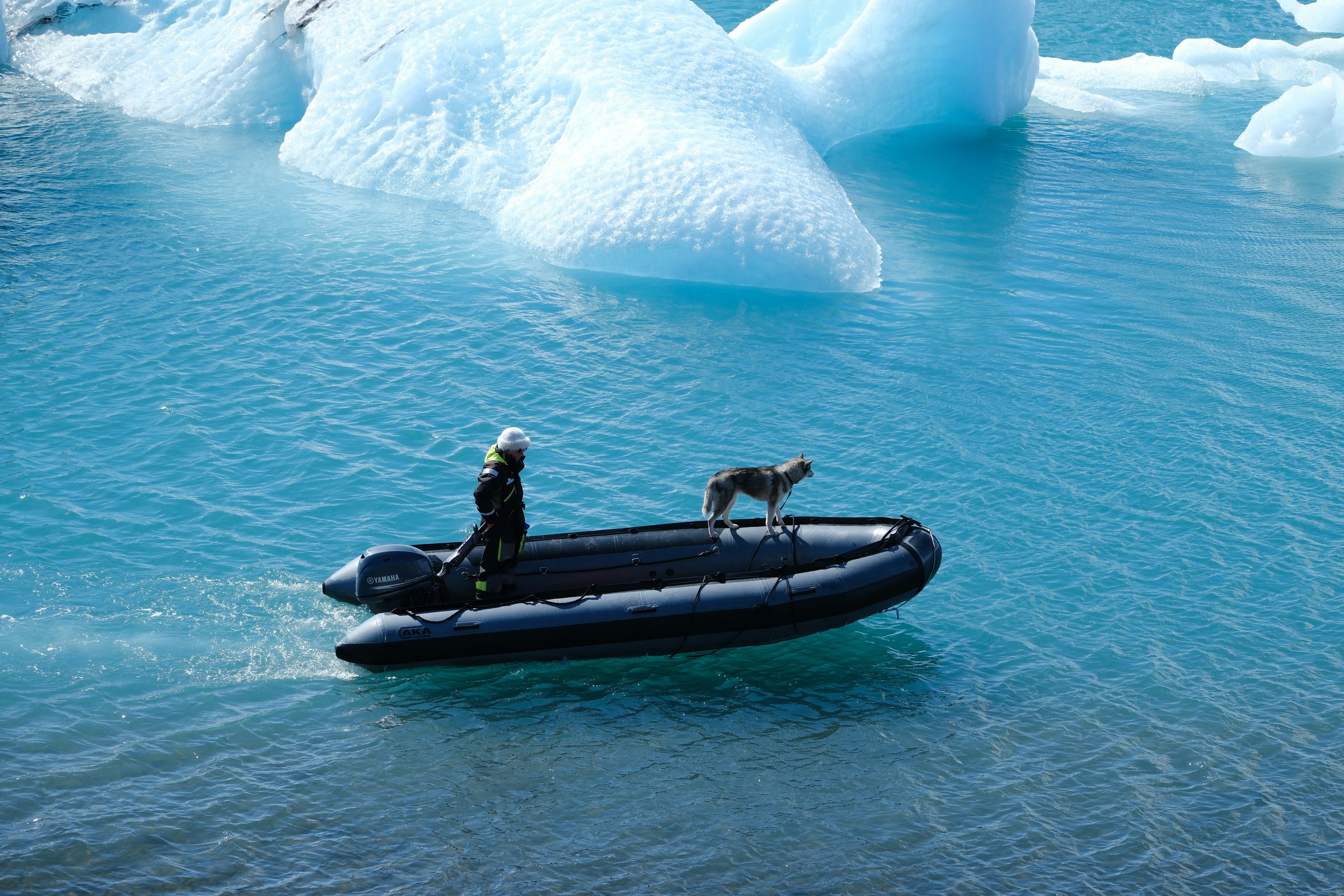 Gelid Expedition: A lone handler and a sled-dog sail the blue ice