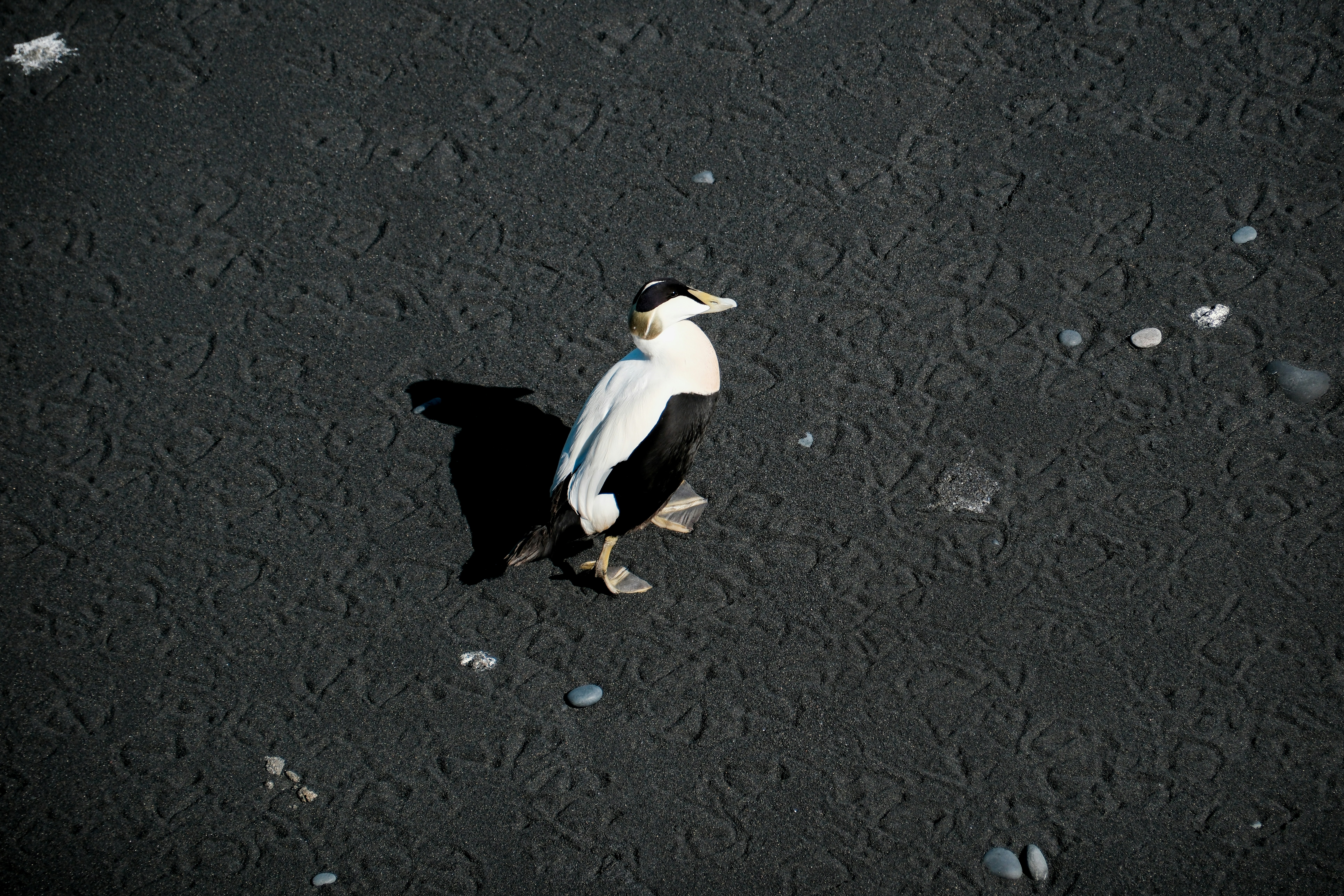 Photo by Elias with Fujifilm X-T5