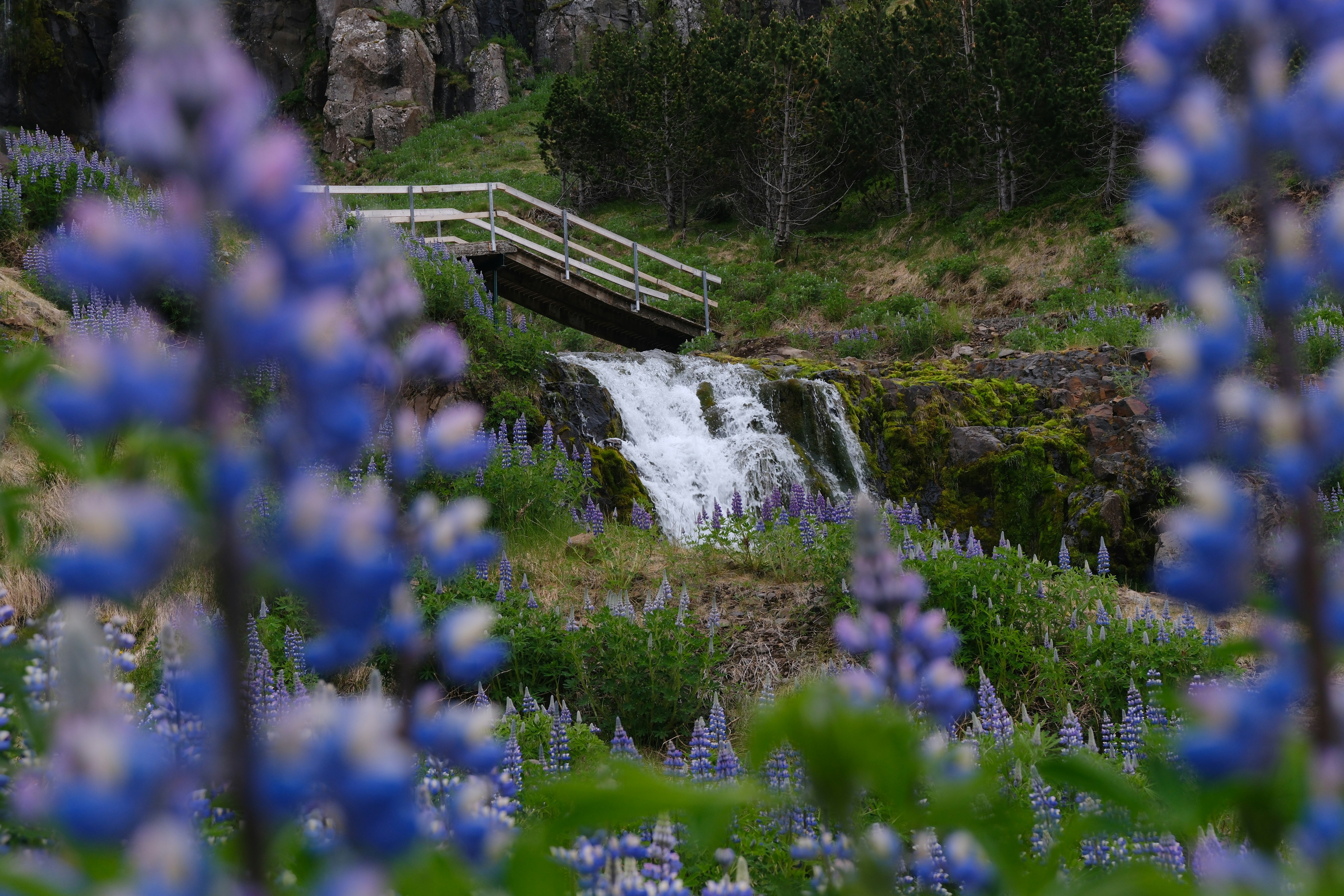 Photo by Elias with Fujifilm X-T5