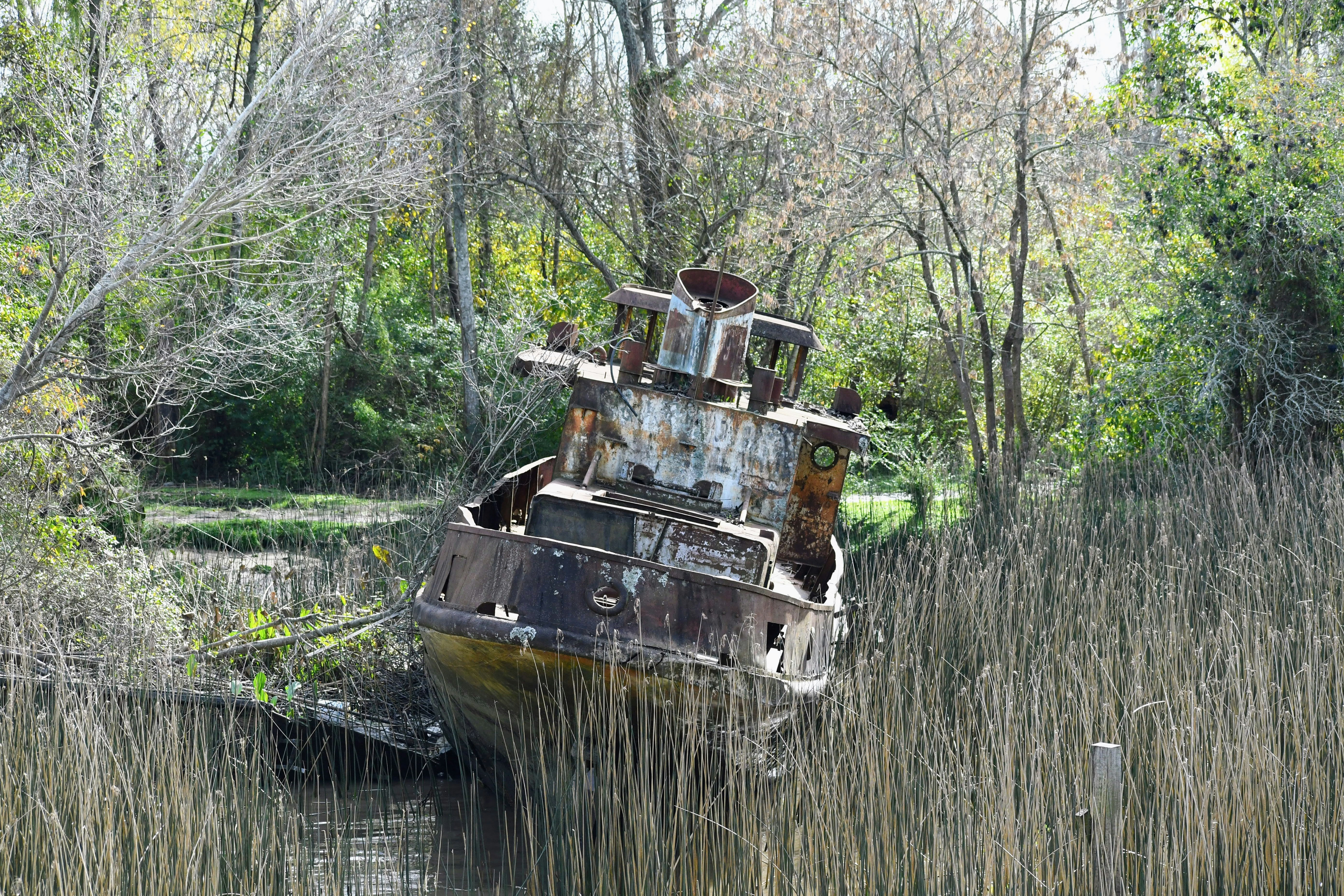 Tilted Relic in the Reeds: a rusted vessel stranded in a marsh
