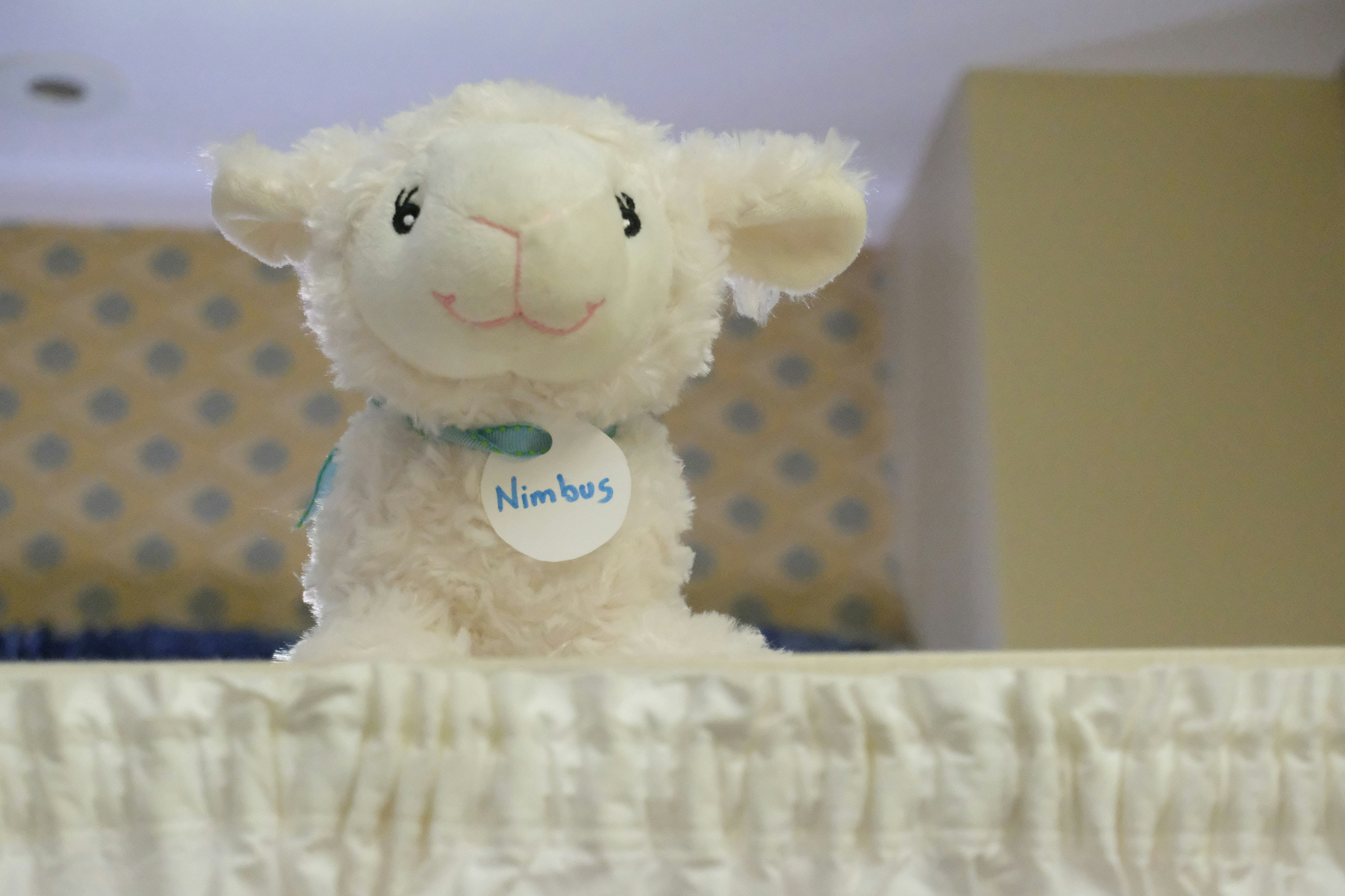 Lamb Plush Overlook: A Gentle Toy Guarding a Quiet Stage