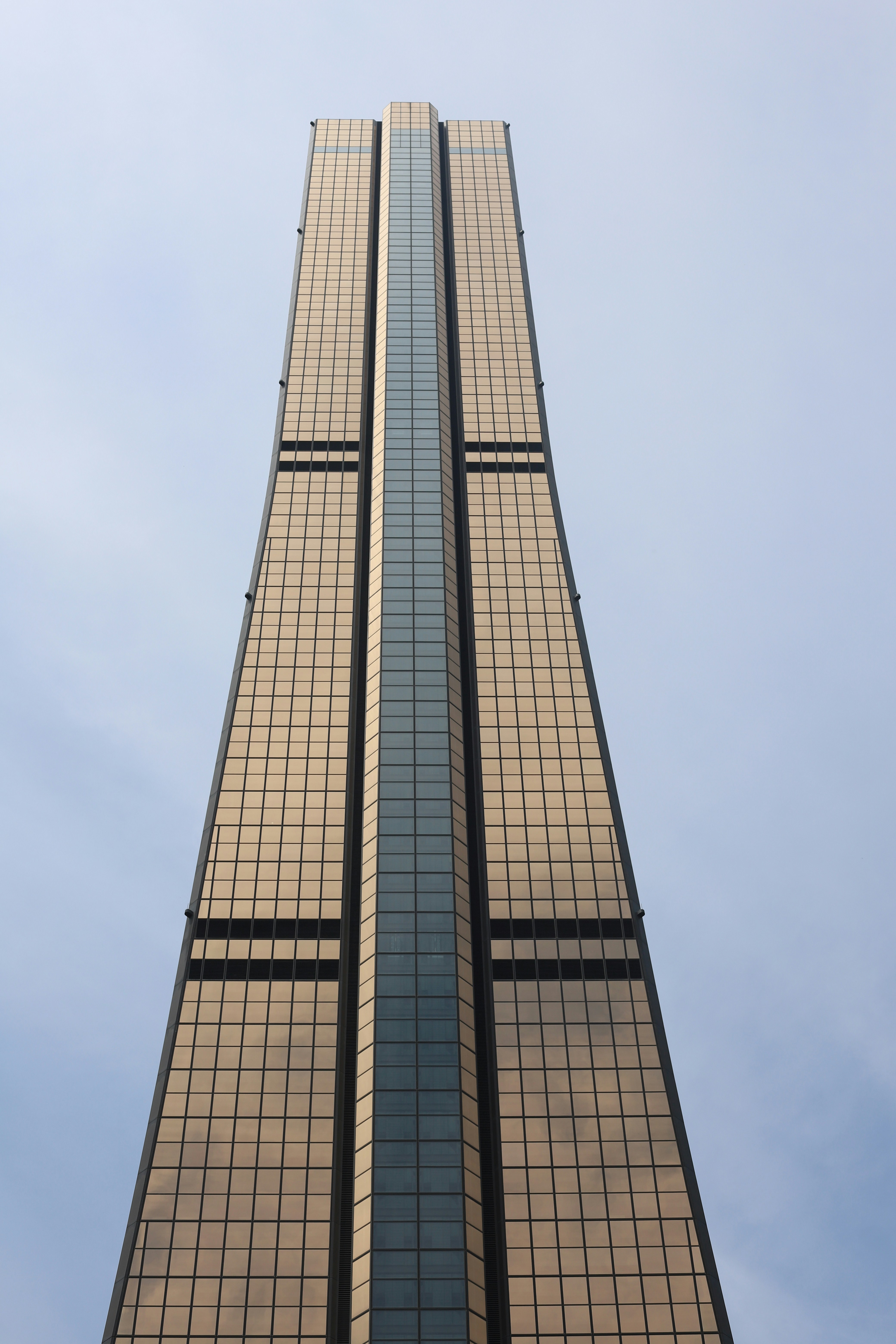 Vertical Elegance: A Towering Reflection