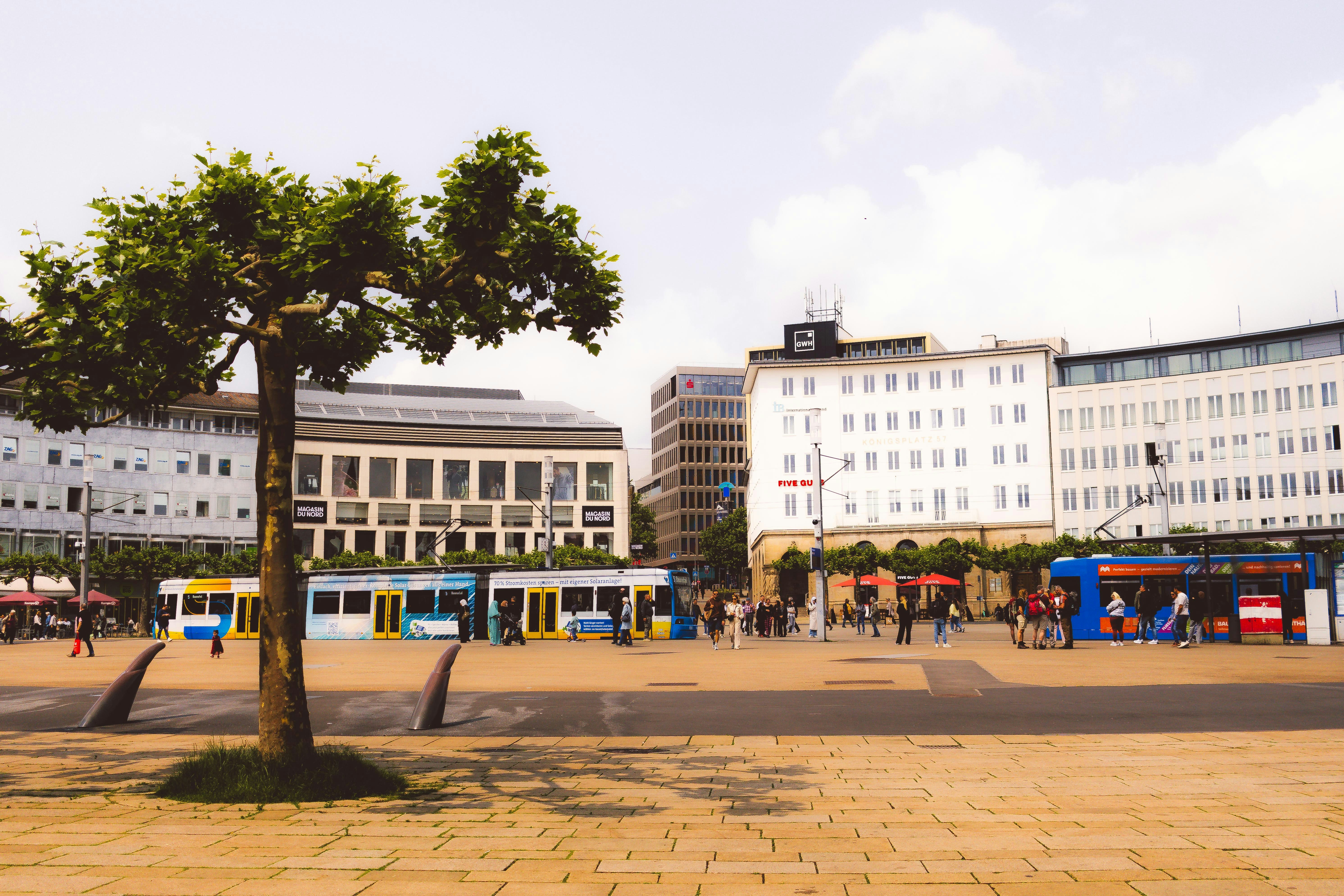 Urban Harmony: A Day in the Heart of the City