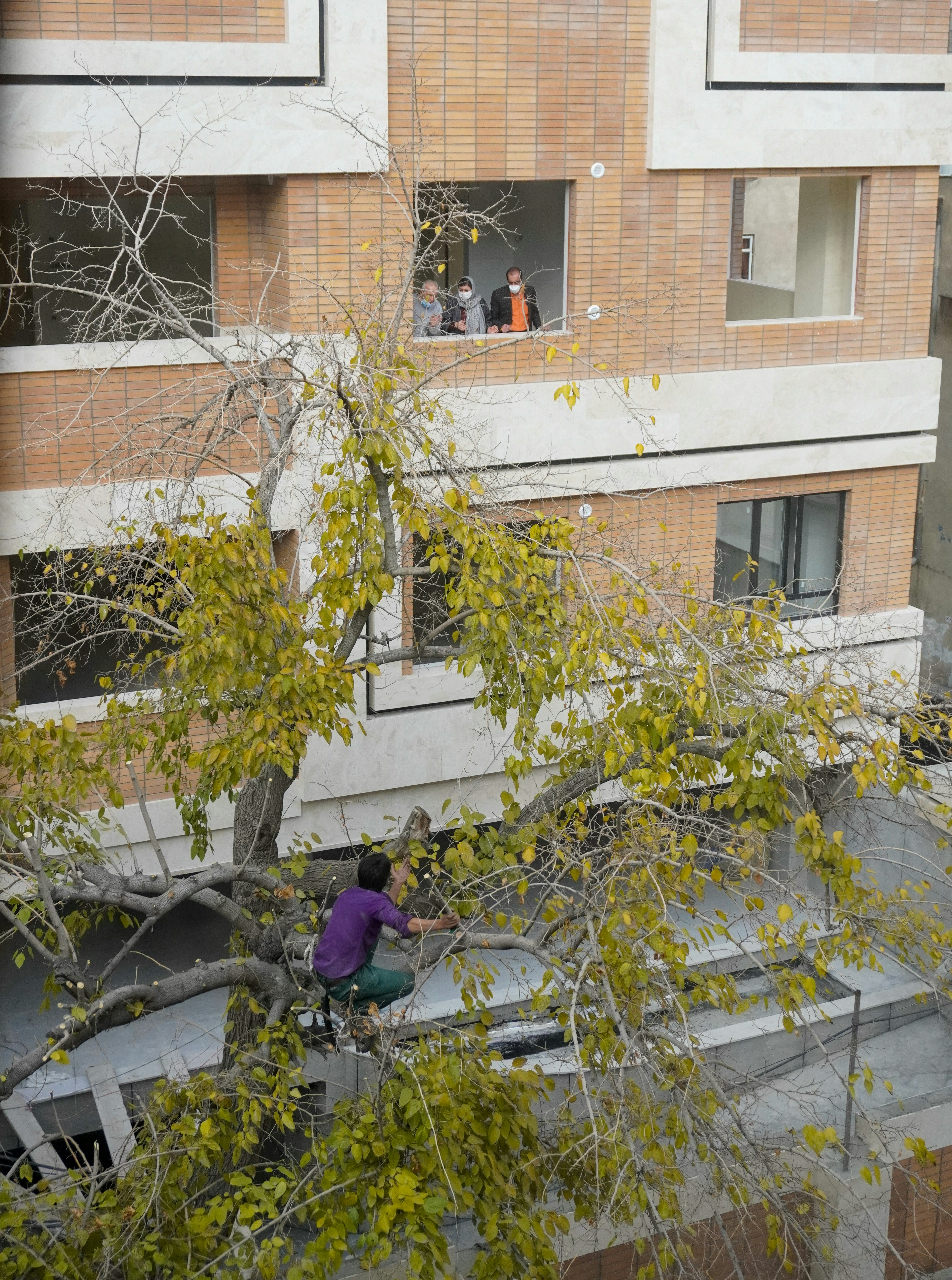 Urban Nature: A Closer Look