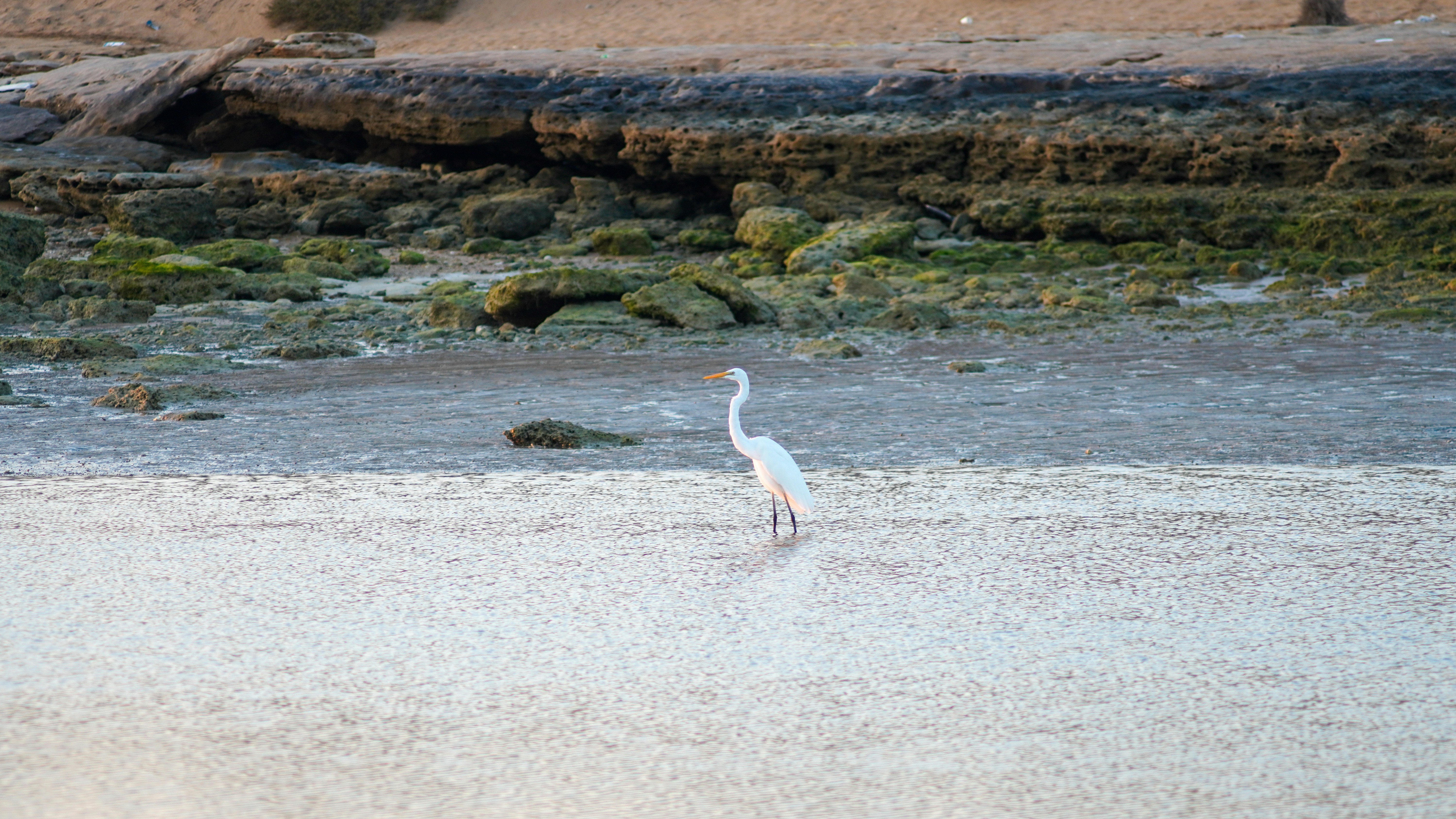 Photo by Odile with Sony Alpha 6400