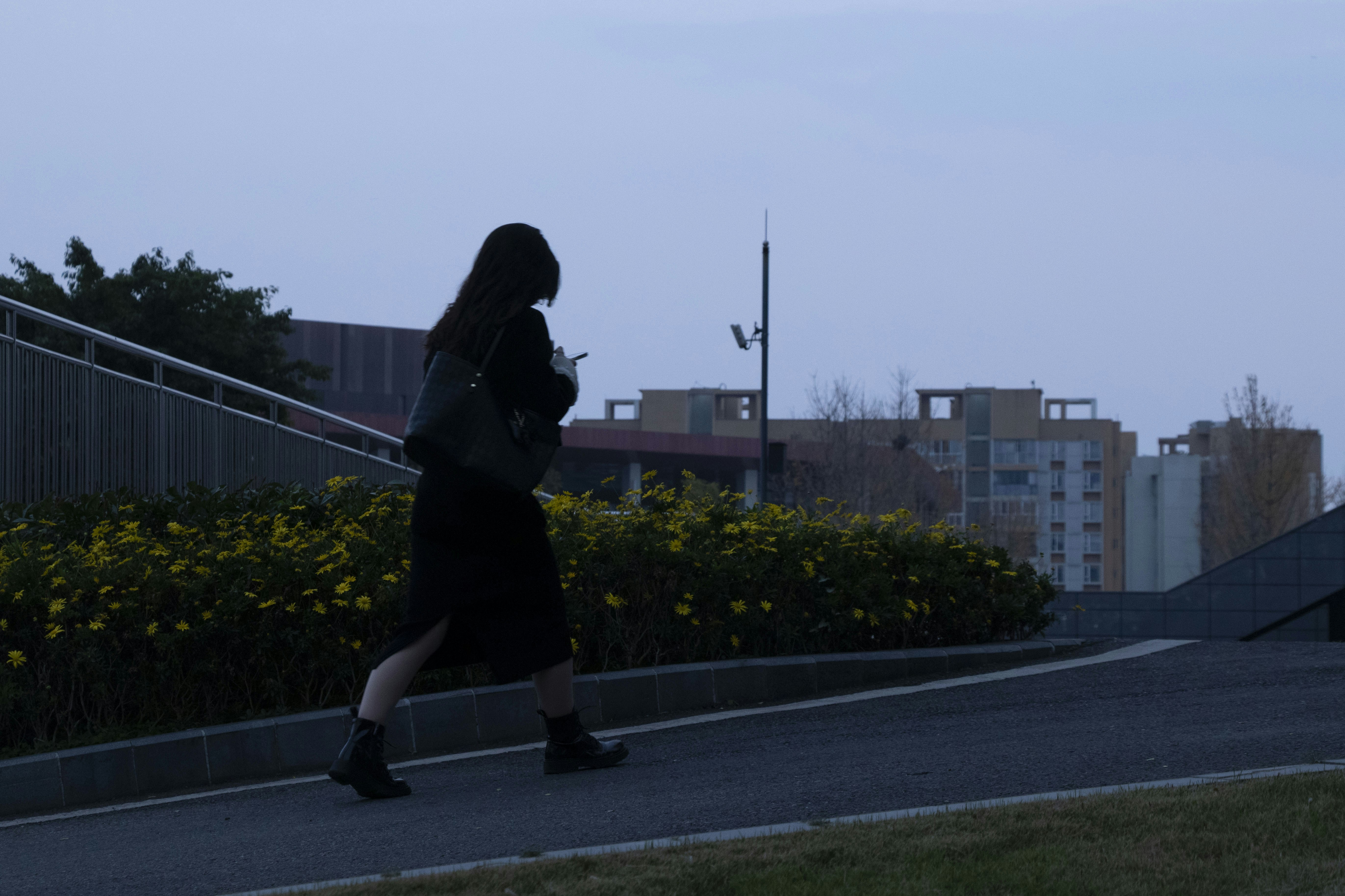 Silhouette of a woman walking along a path adorned with blooming yellow flowers, set against a twilight city backdrop.