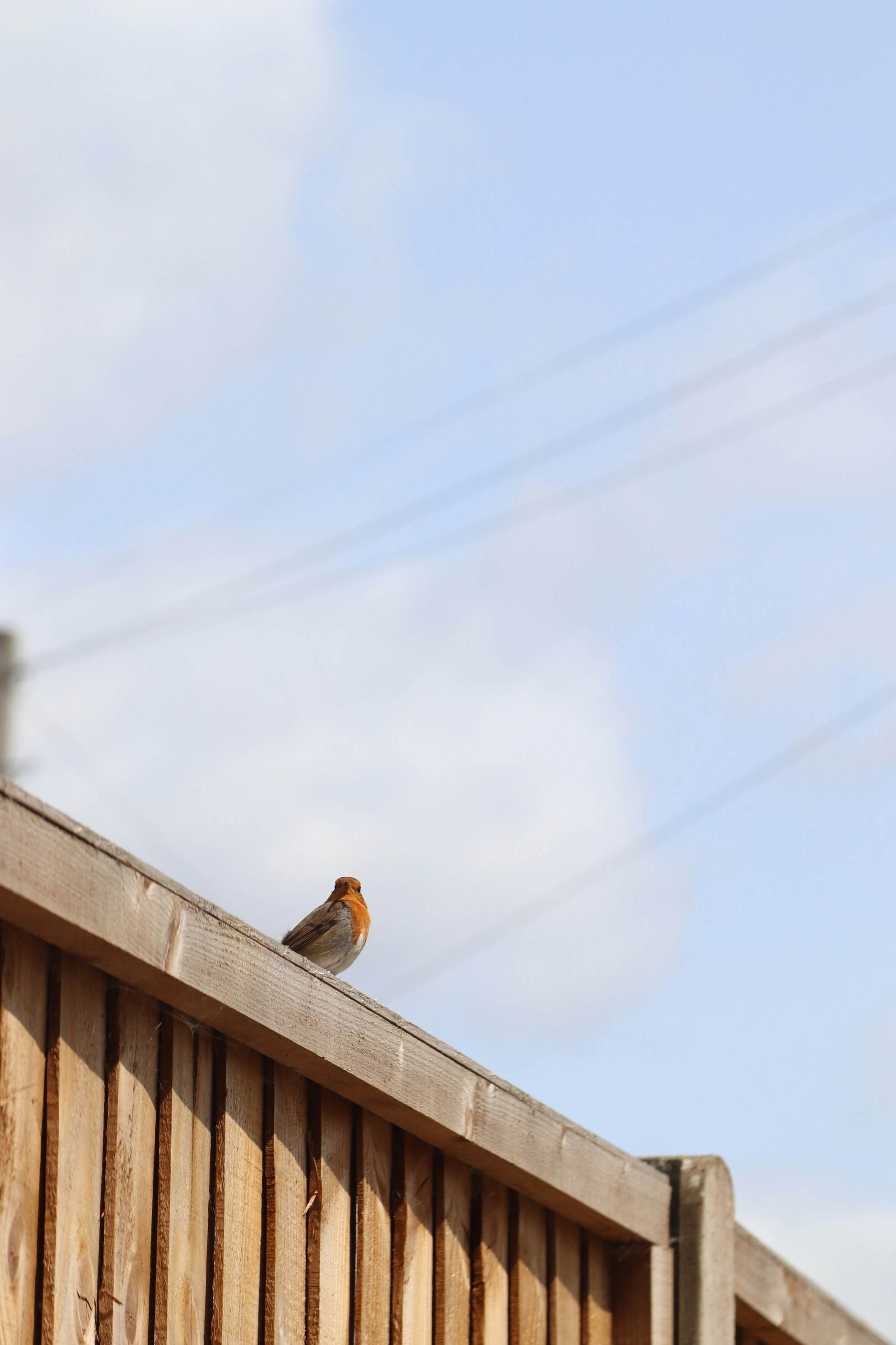 Photo by Tanya Barrow with Canon EOS 77D