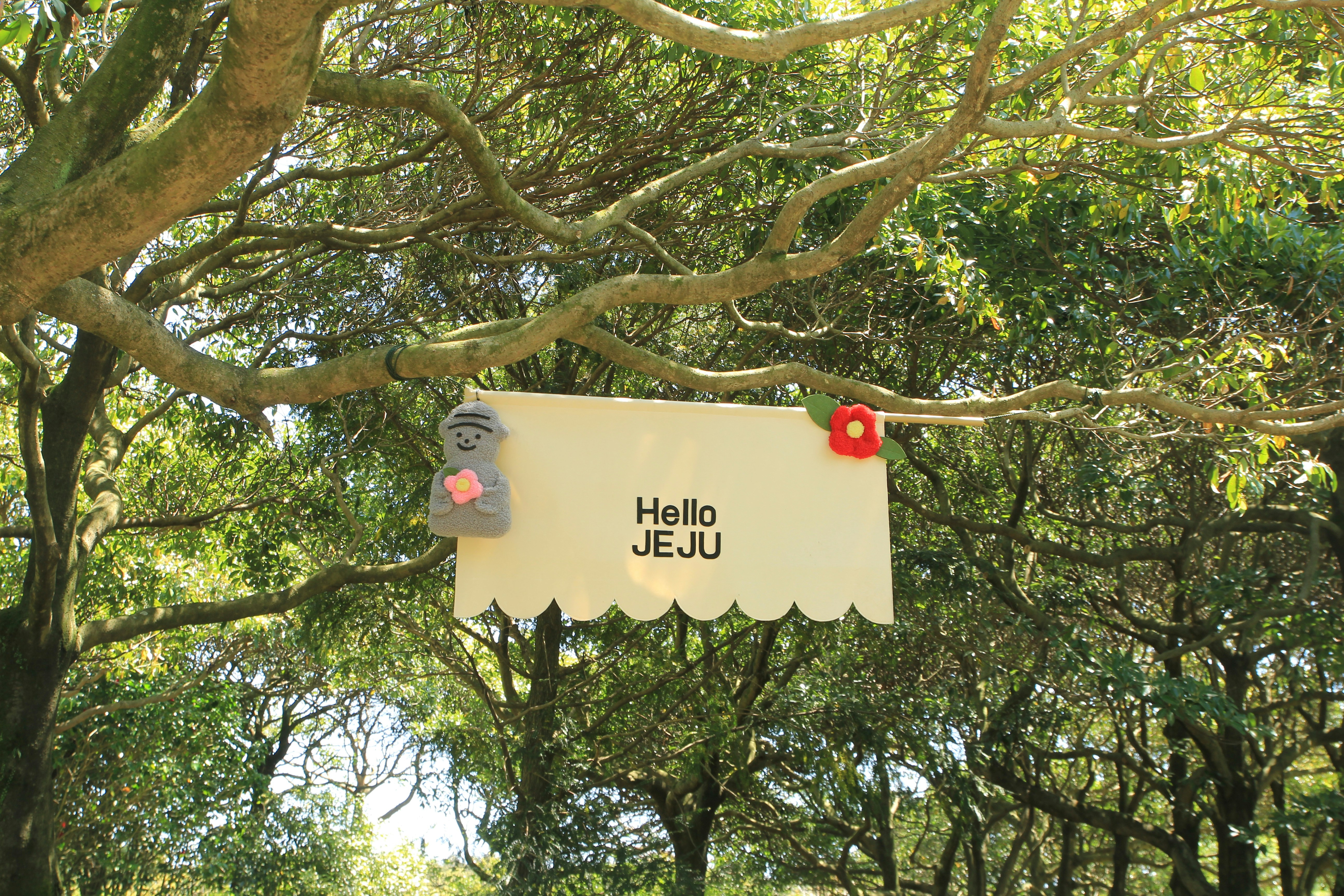 A sign reads "hello jeju" hanging from a tree. photo – Free Korea Image on Unsplash