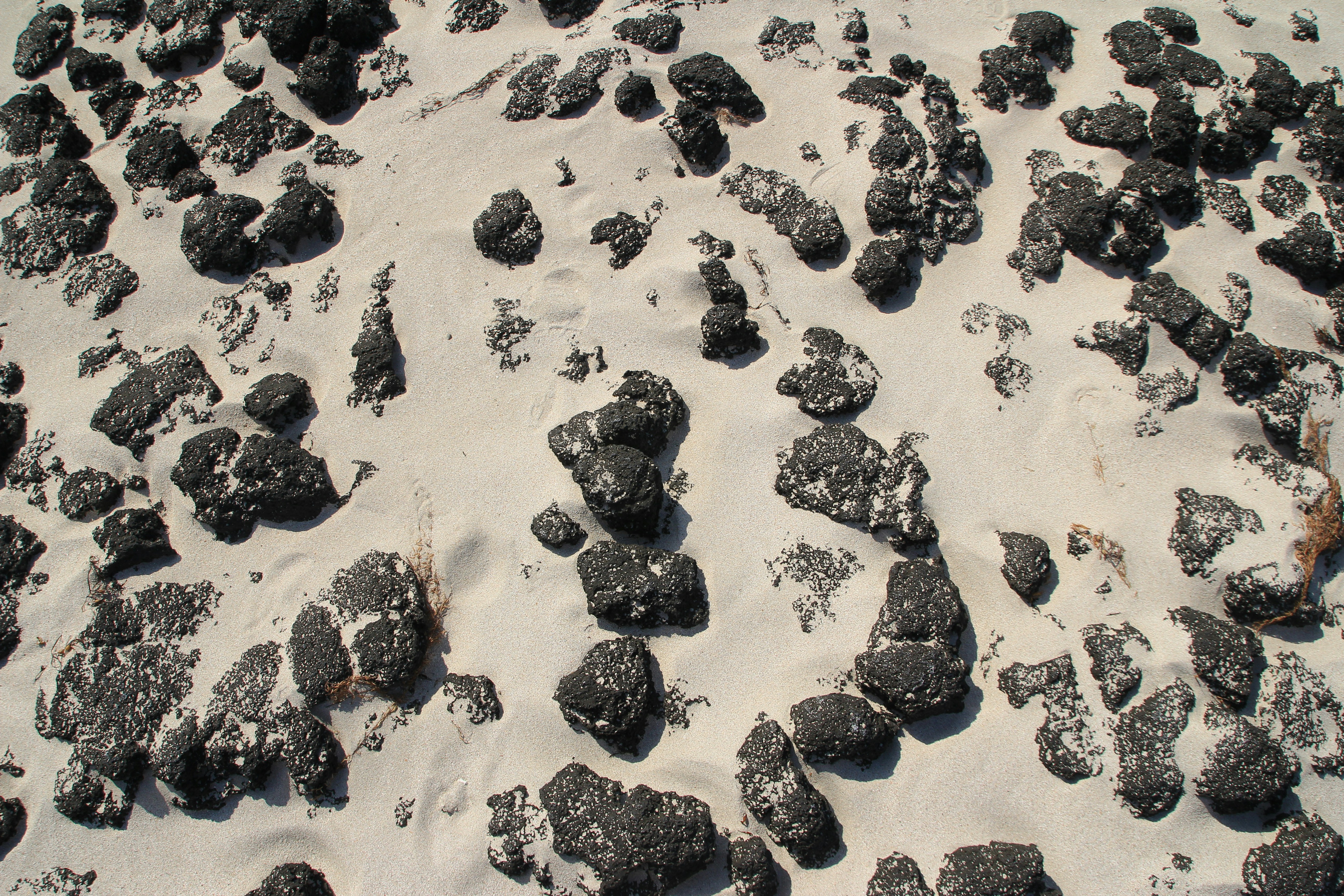 A landscape featuring black volcanic rocks scattered across a sandy beach, showcasing the contrast between the dark stones and light sand.