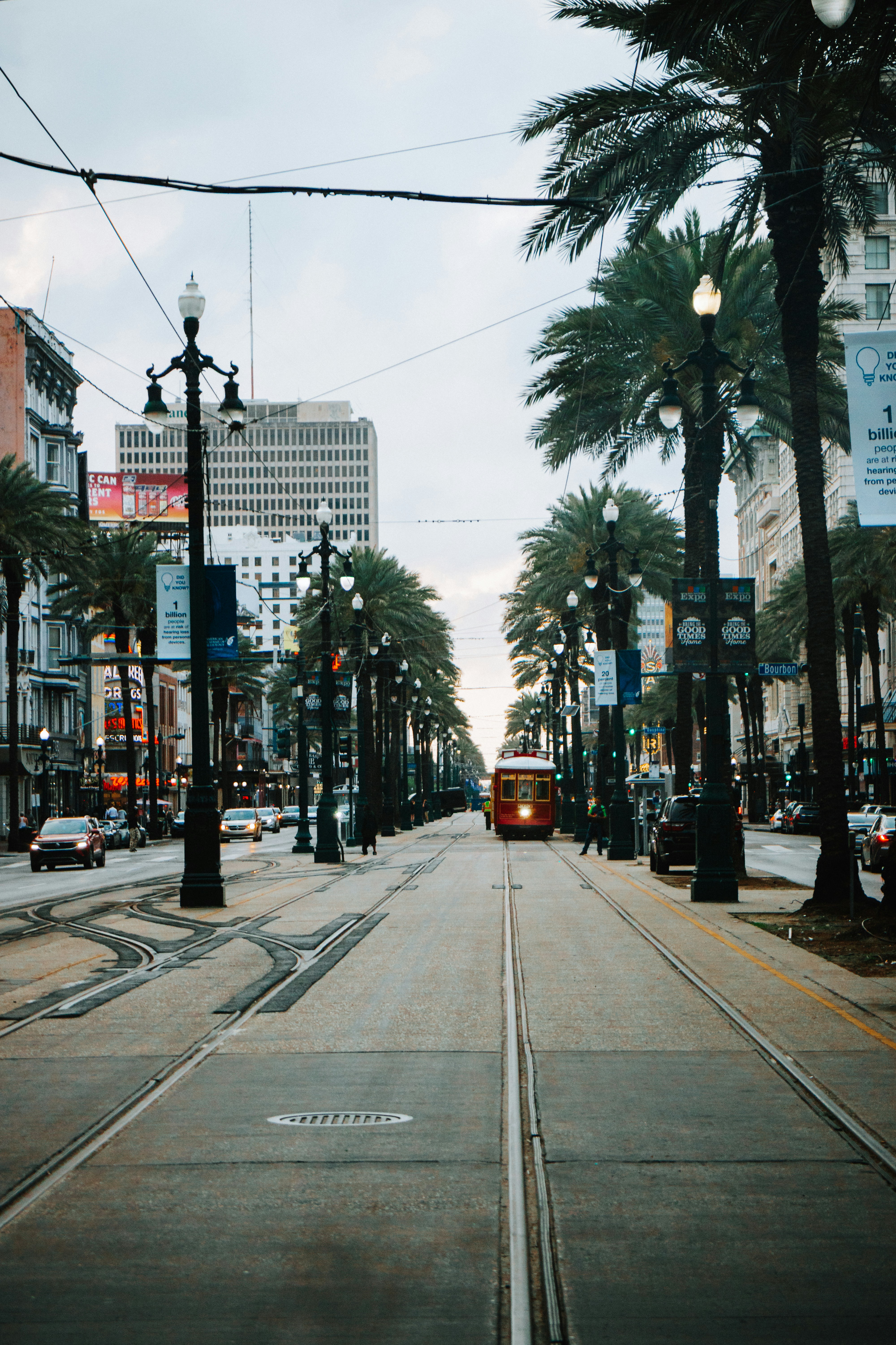 Canal Street, New Orleans at sunset with the tram. | A streetcar travels down a palm tree-lined street.