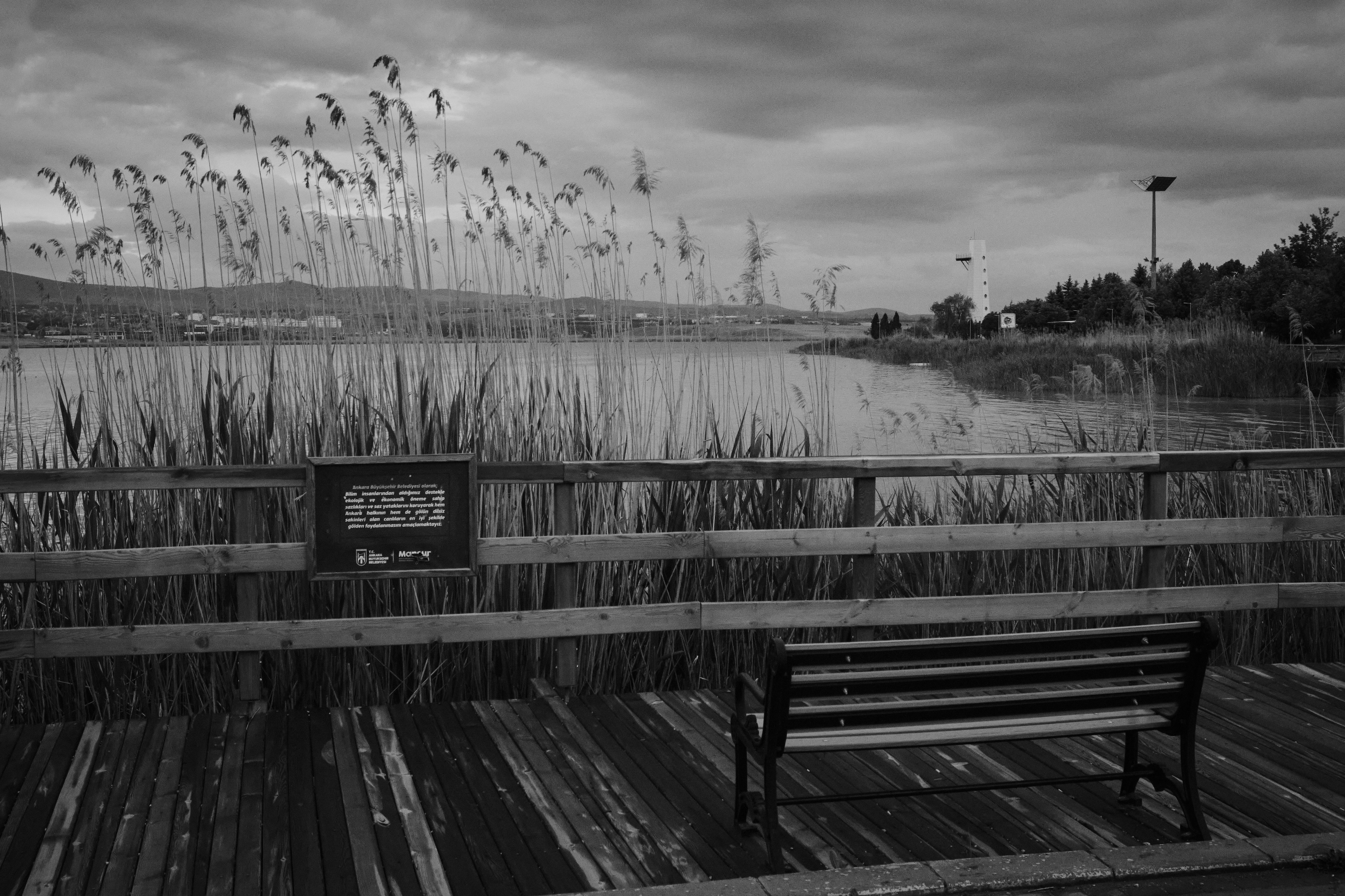Lone Bench on a Quiet Boardwalk Overlooking Reeds and Water