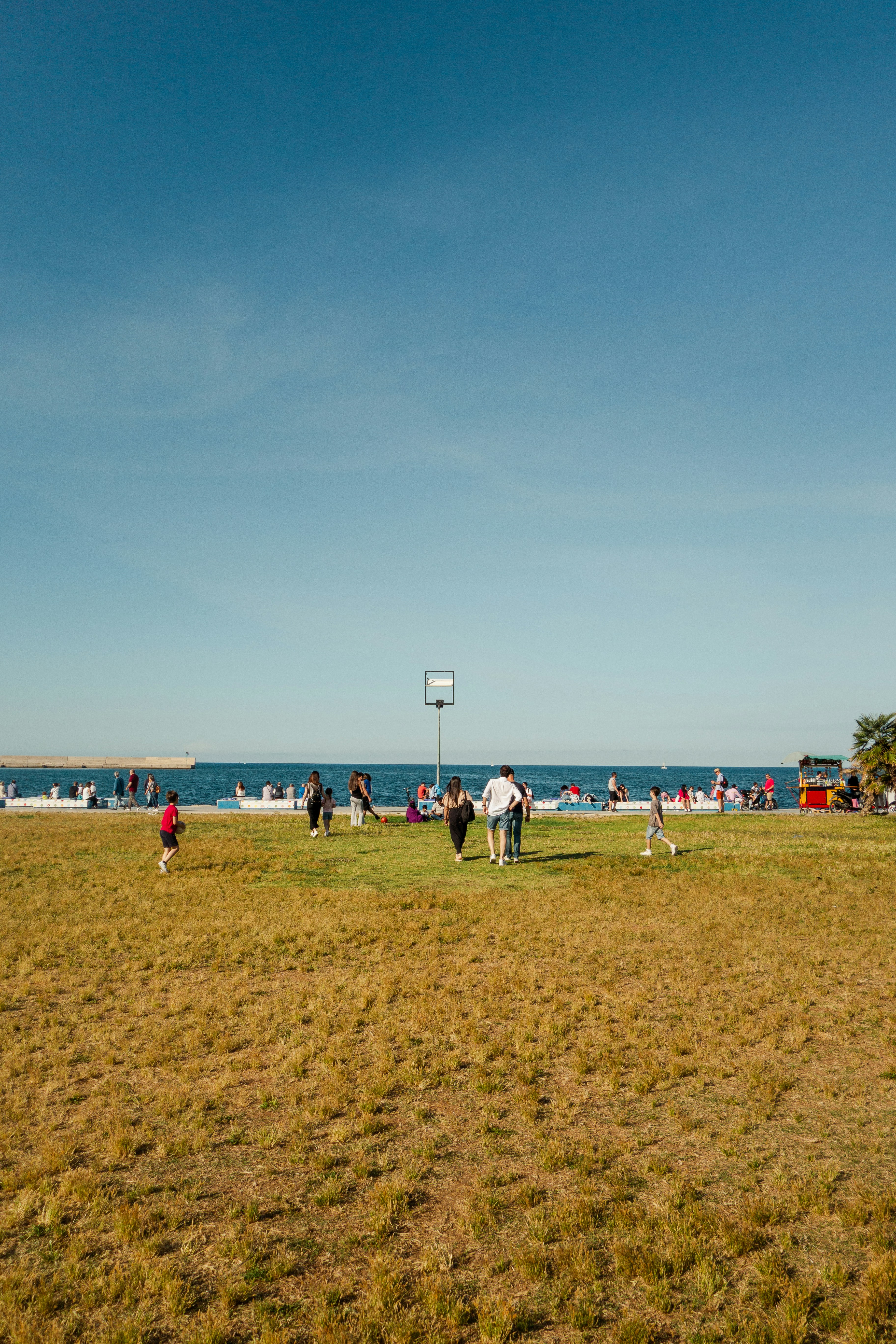 Families and friends enjoy a sunny day at the beach, with a basketball hoop standing prominently on the grass. The ocean waves gently lap at the shore in the background.