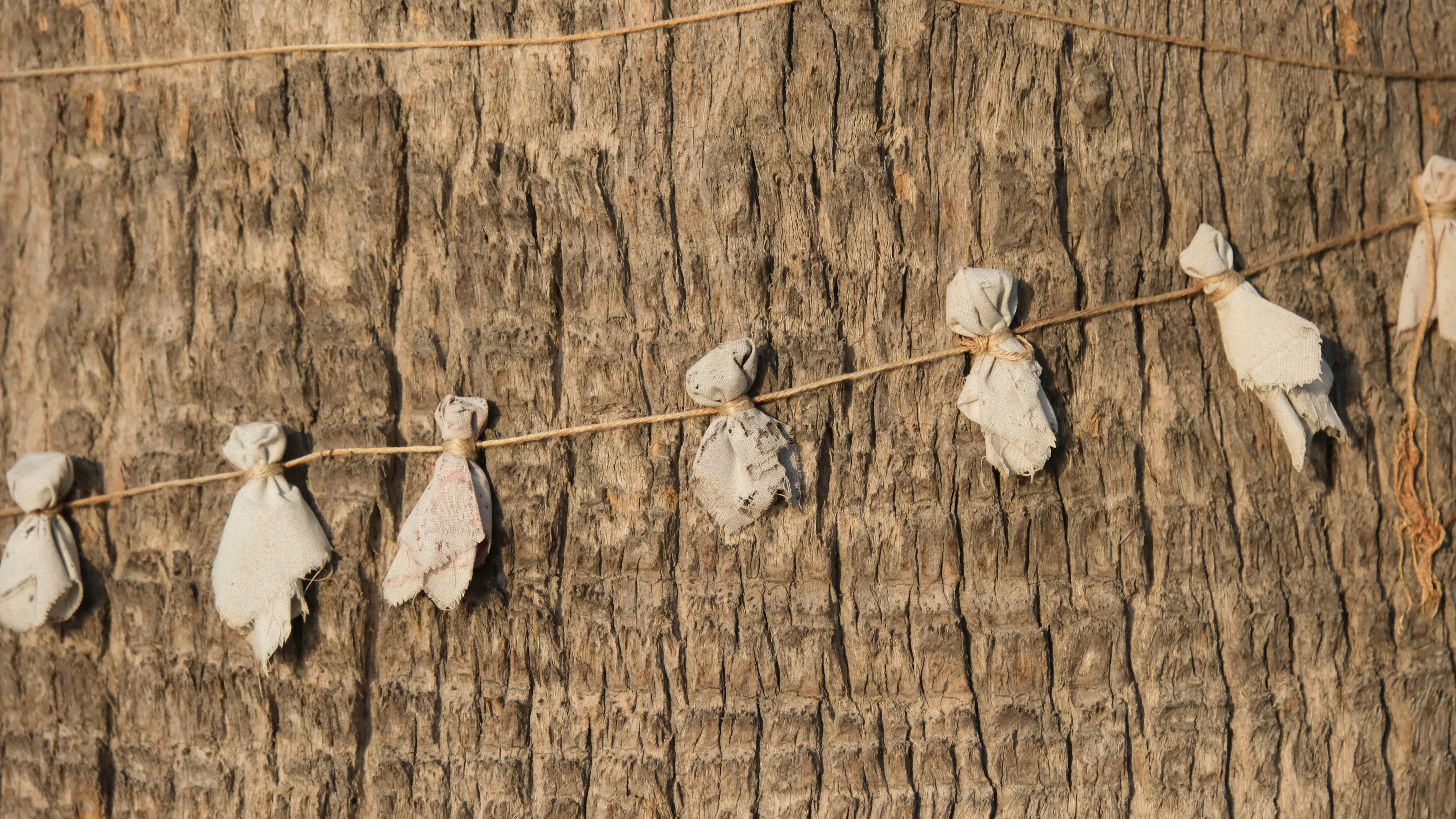 A series of small, tied fabric figures suspended on a twine against the textured backdrop of tree bark, evoking a sense of connection to nature and tradition.