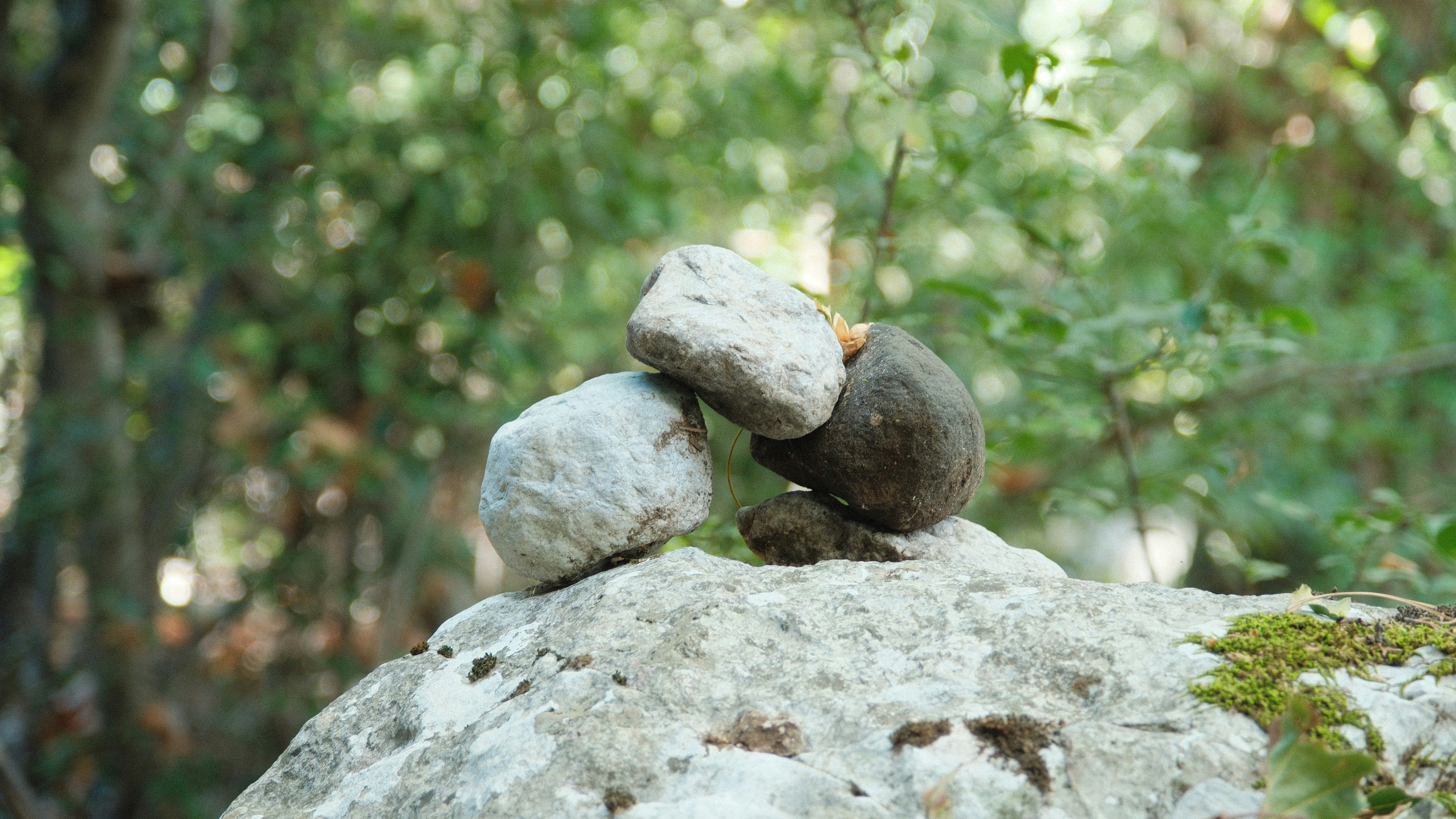 Stones stacked on a rock in a forest setting.