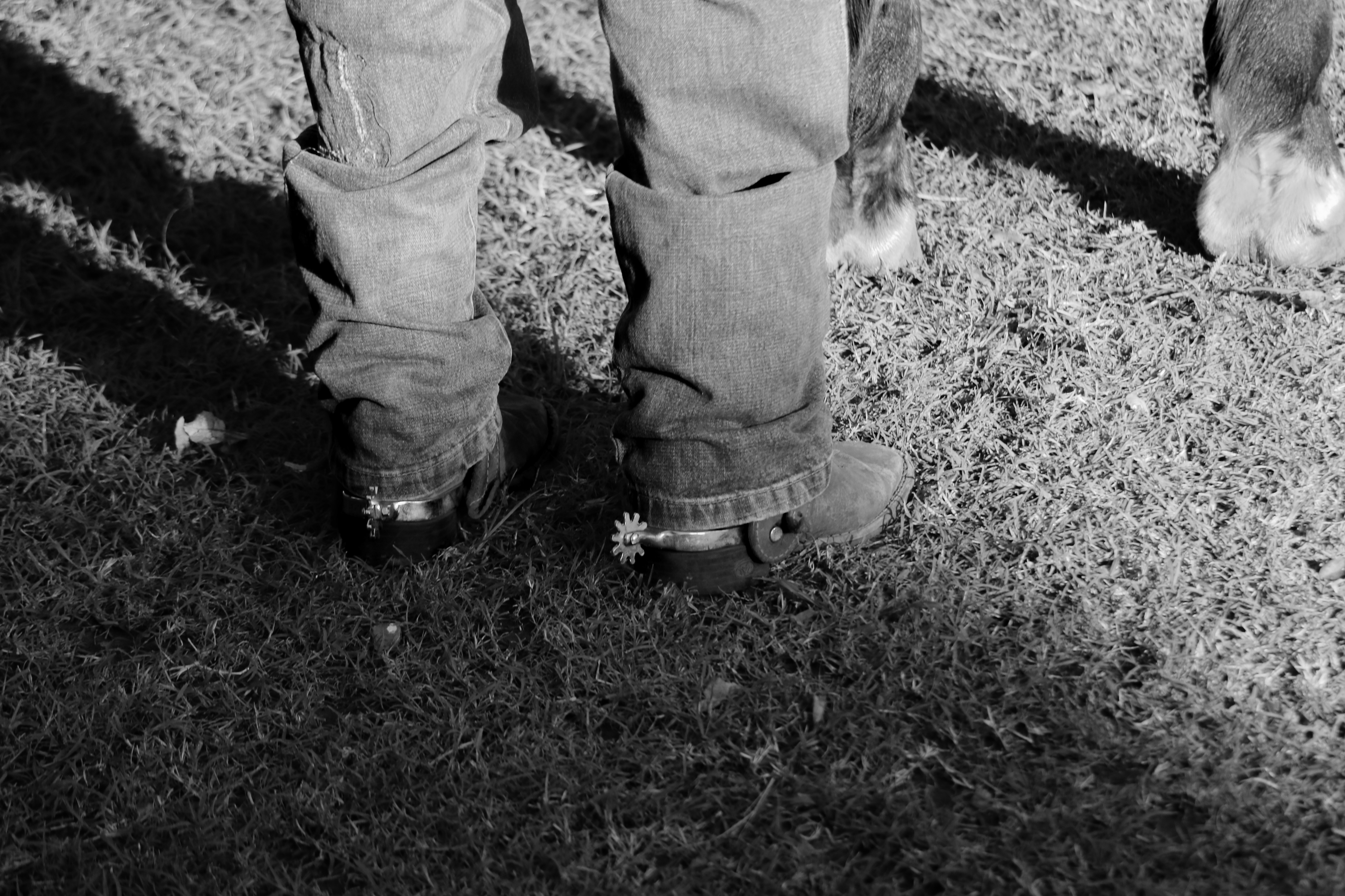Whispers of the Past: A Cowboy's Stance