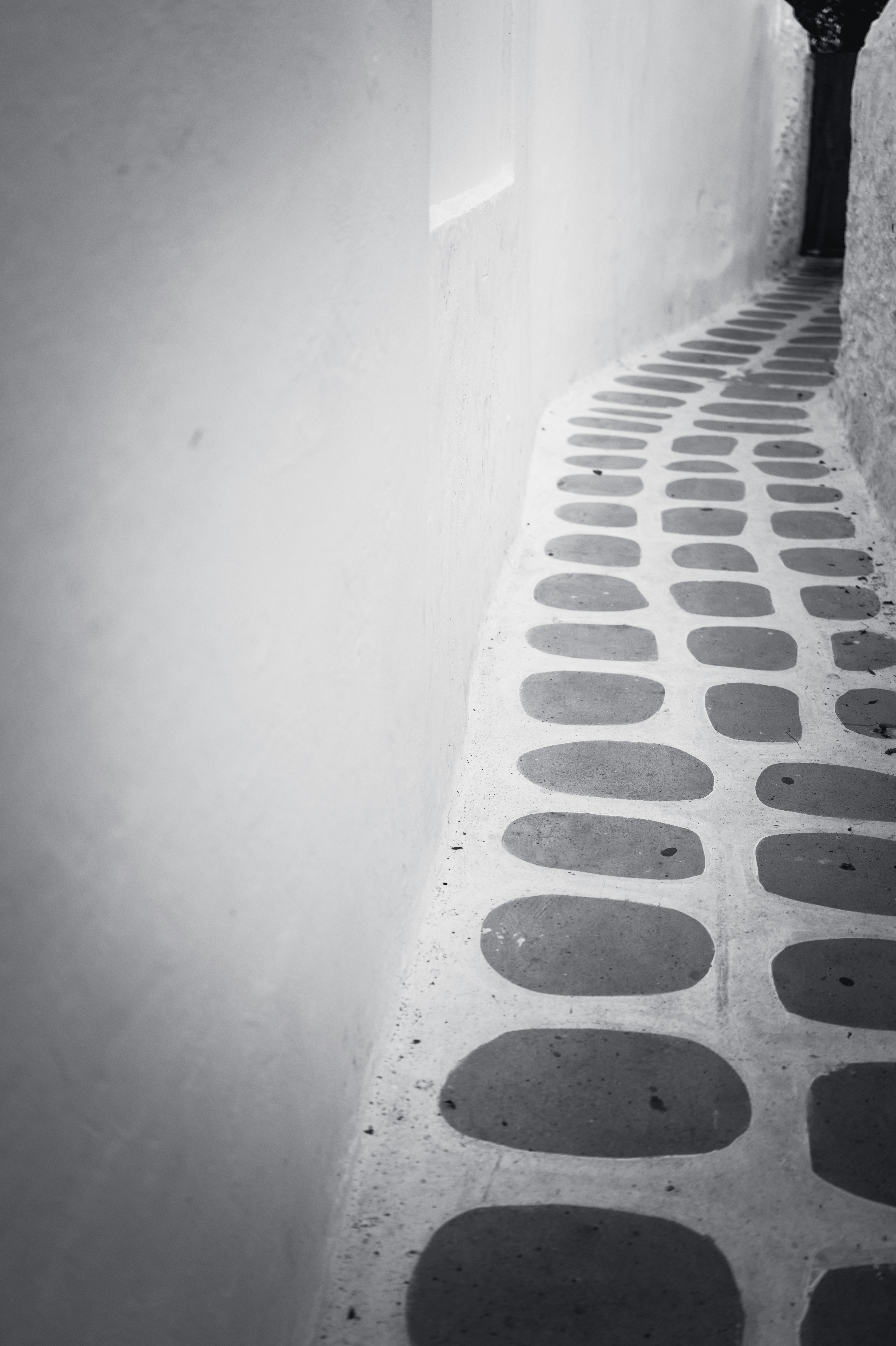 Curves of Tradition: A Stroll Through Timeless Pathways