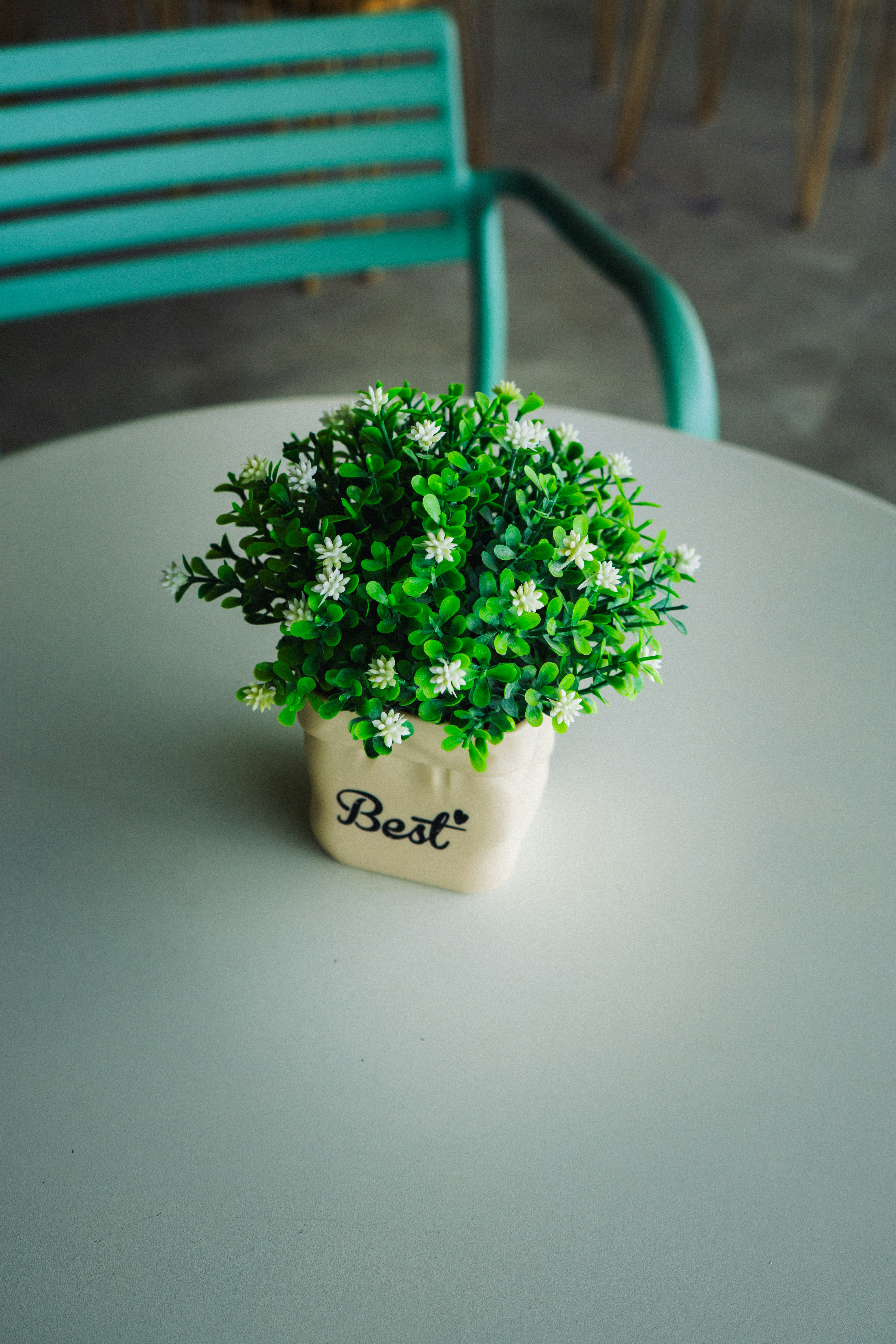Artificial potted plant with small white flowers sitting on a round table, surrounded by a minimalistic setting.