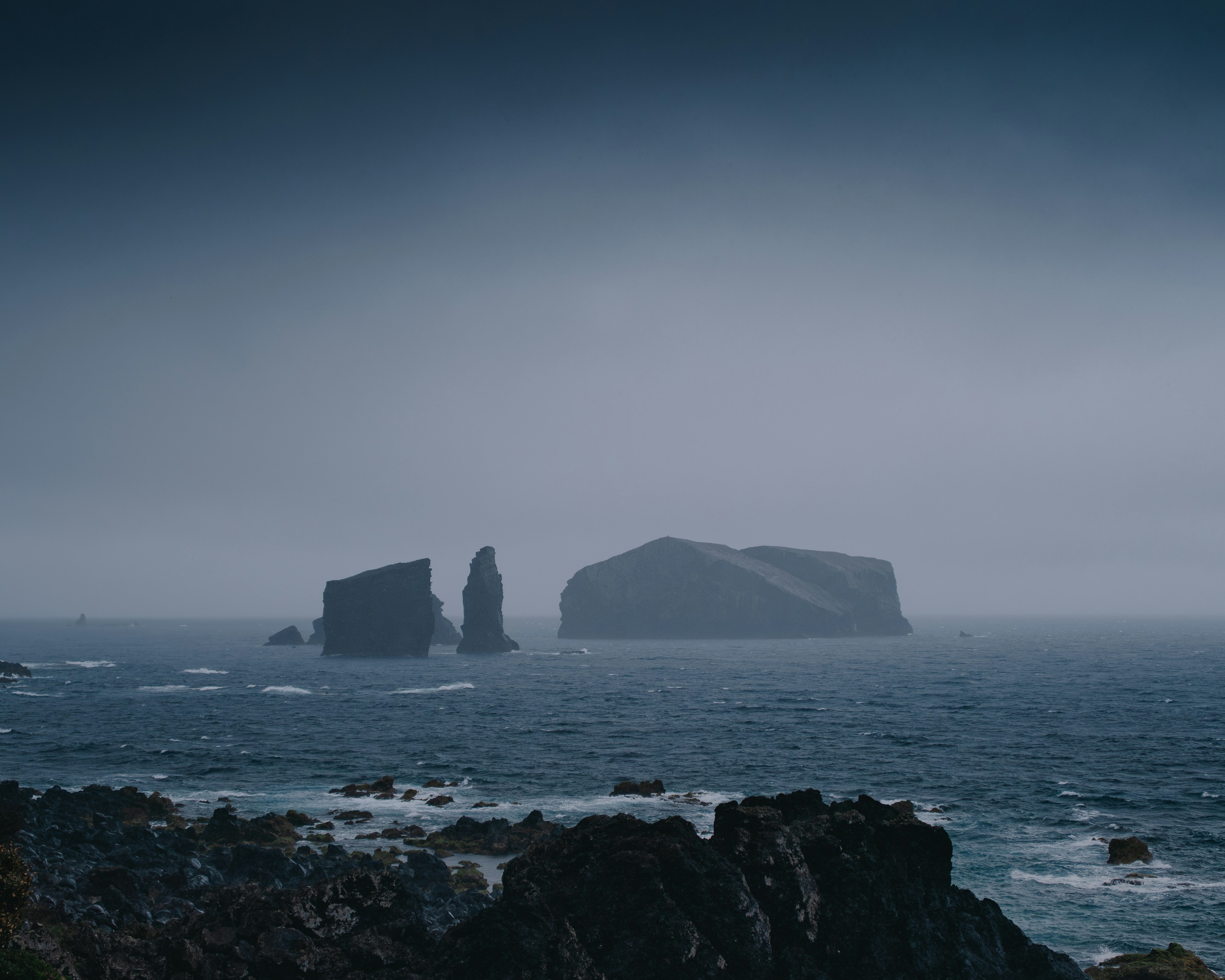 Whispers of the Ocean's Giants