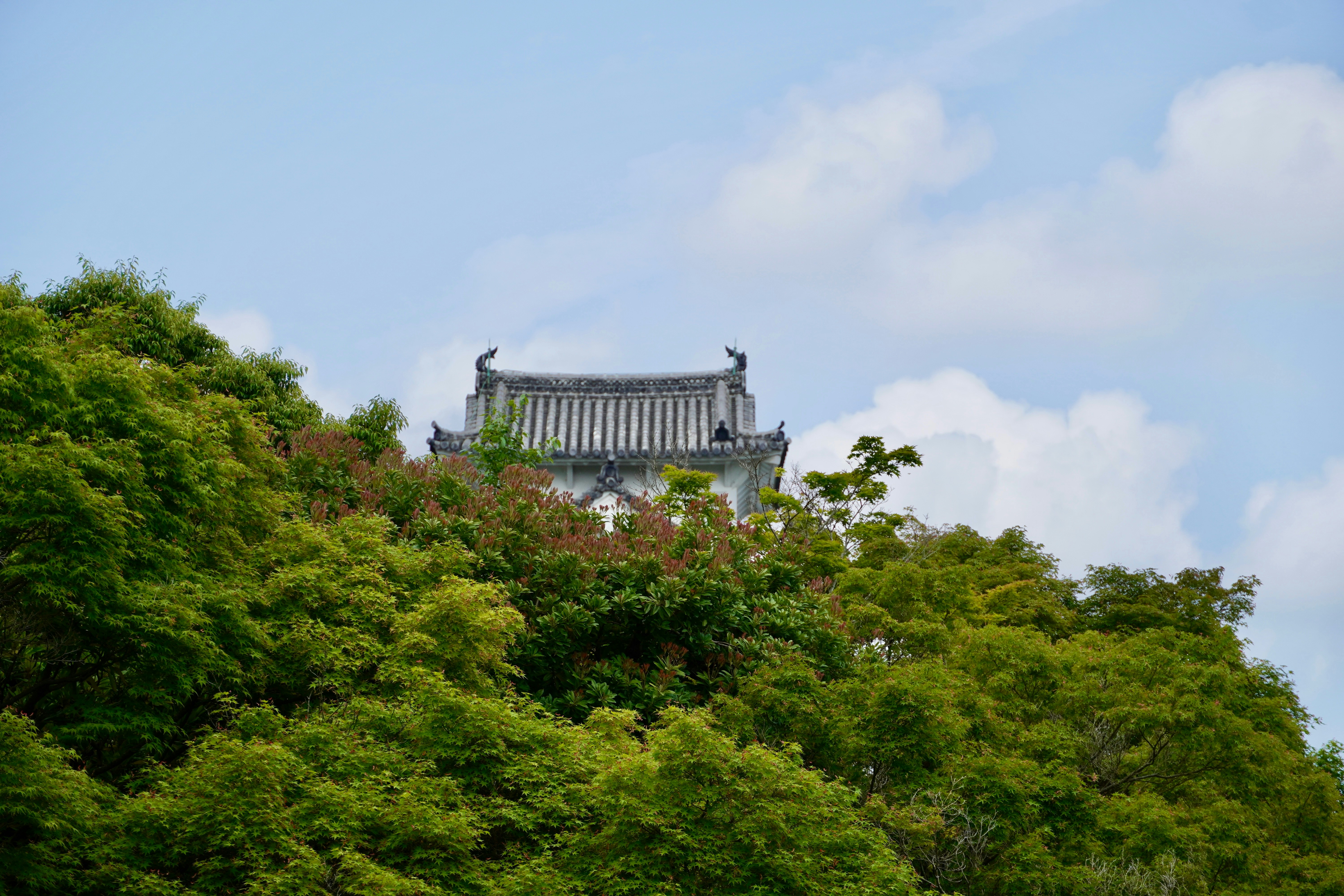 Photo by Meina Yin with Sony Alpha 6400