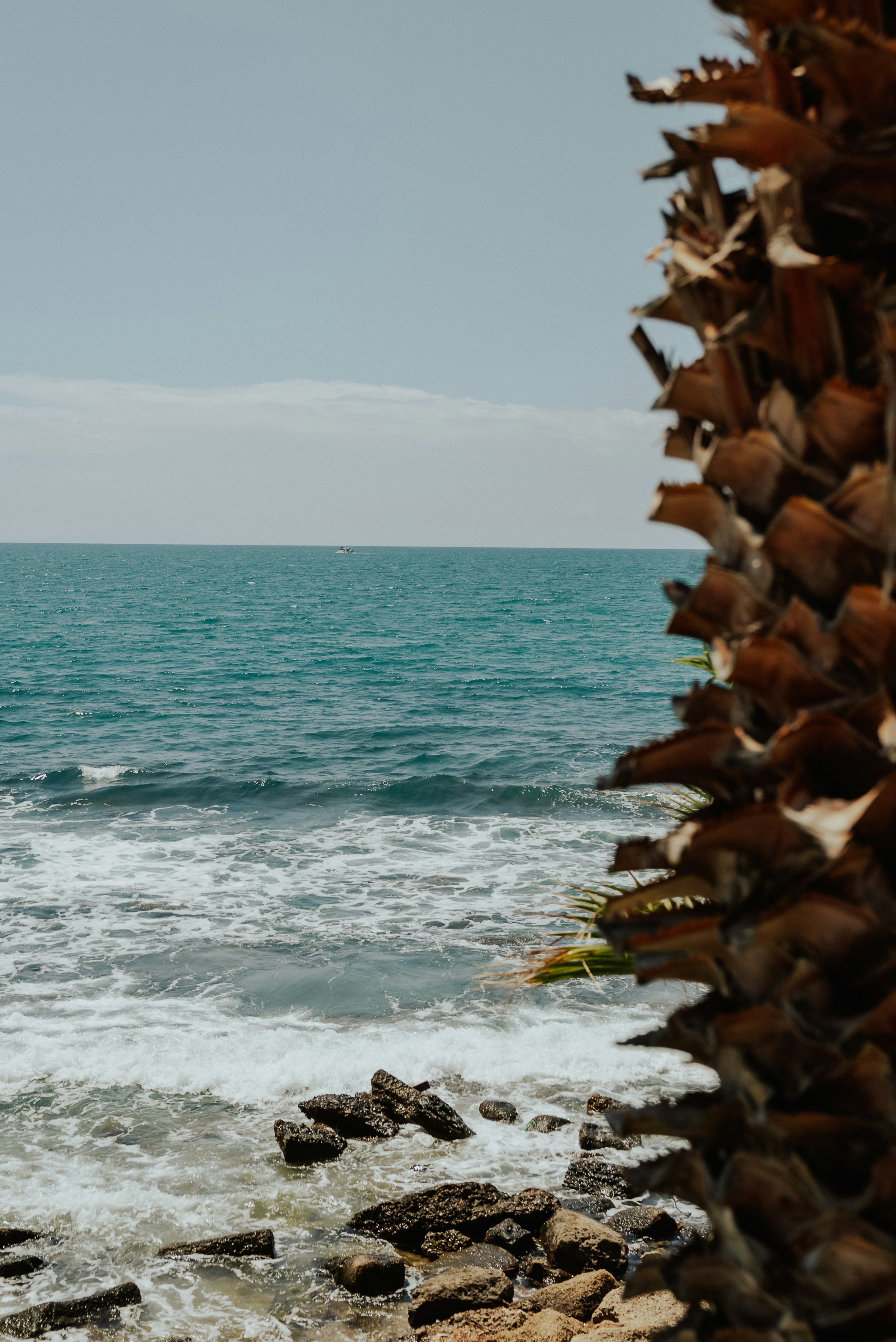 Palm-Framed Seascape: Turquoise Breakers on a Rocky Shore