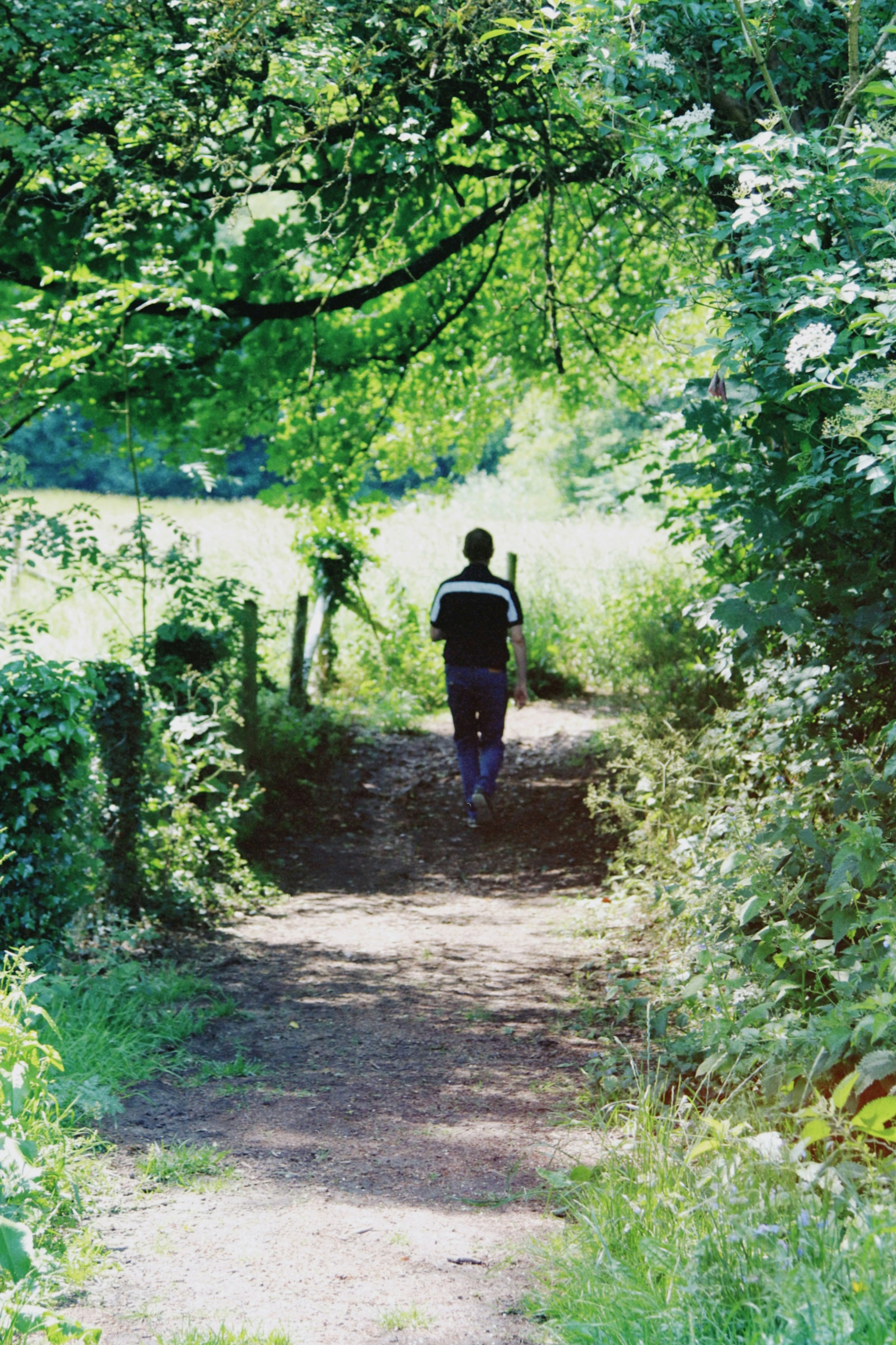 A person walking down a sunlit path framed by vibrant greenery, leading to an open field. The scene evokes a sense of tranquility and exploration.