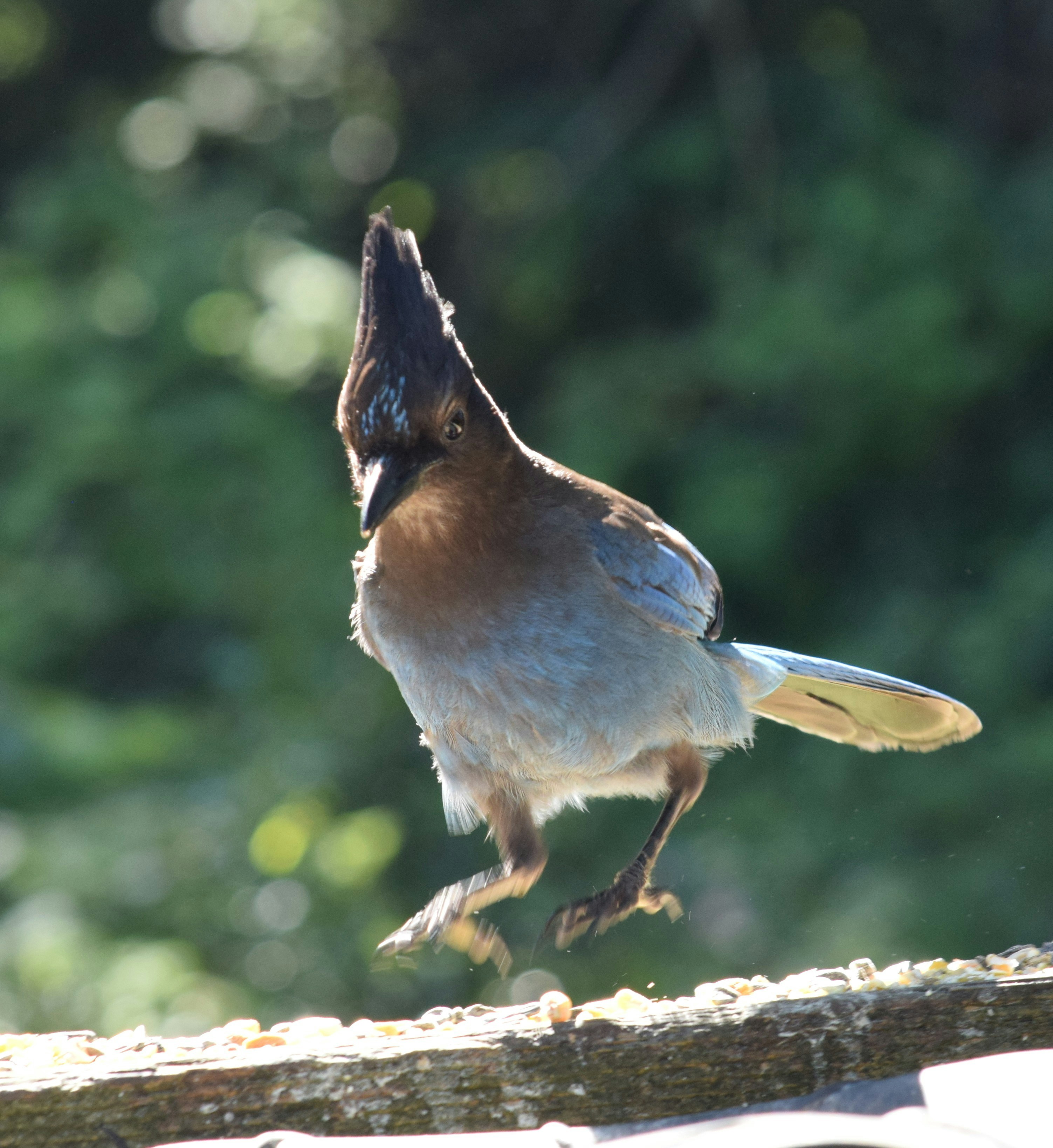 Photo by fr0ggy5 with Nikon D3300