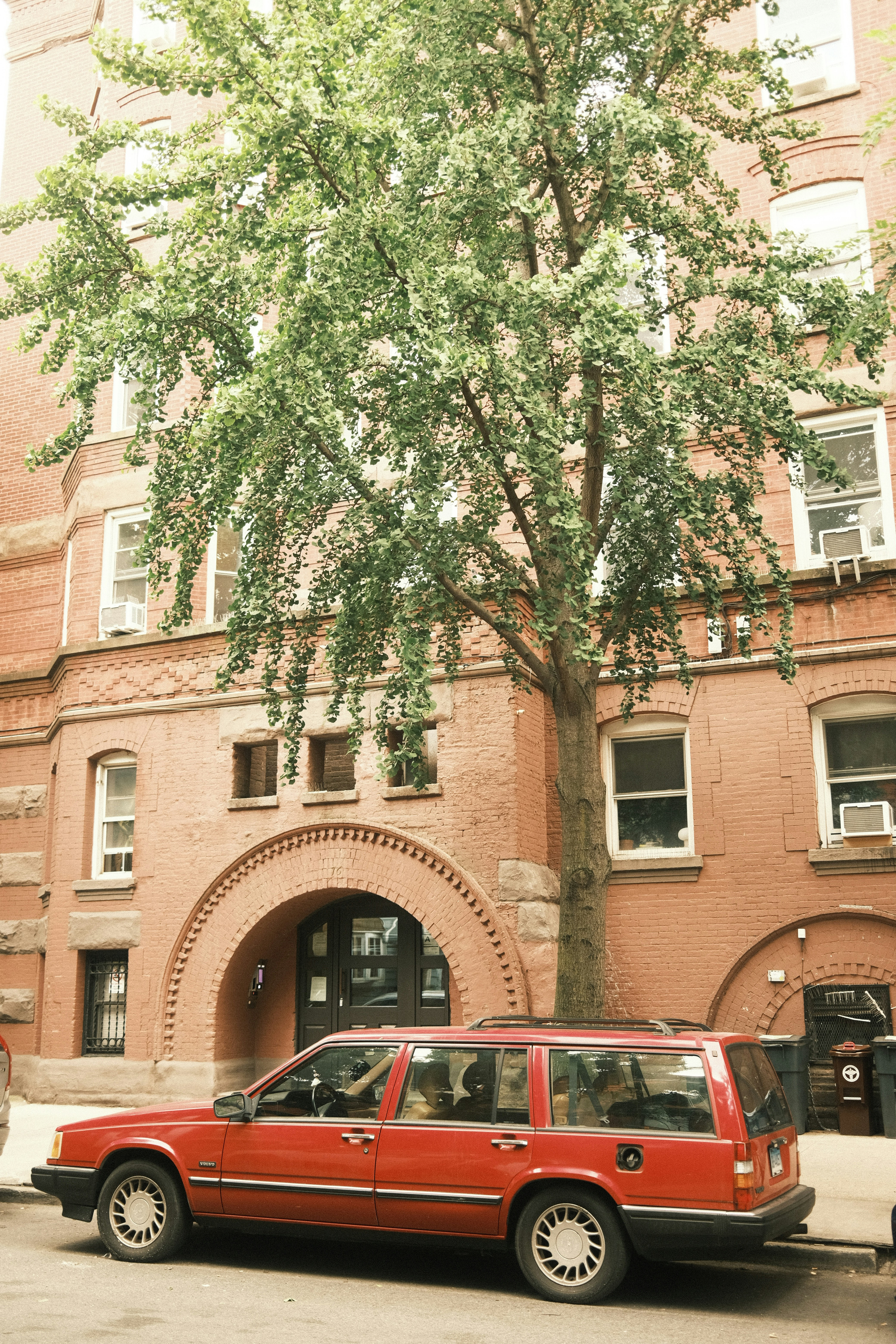 Brick Arch Portrait: A Red Station Wagon Beneath a Generous City Tree