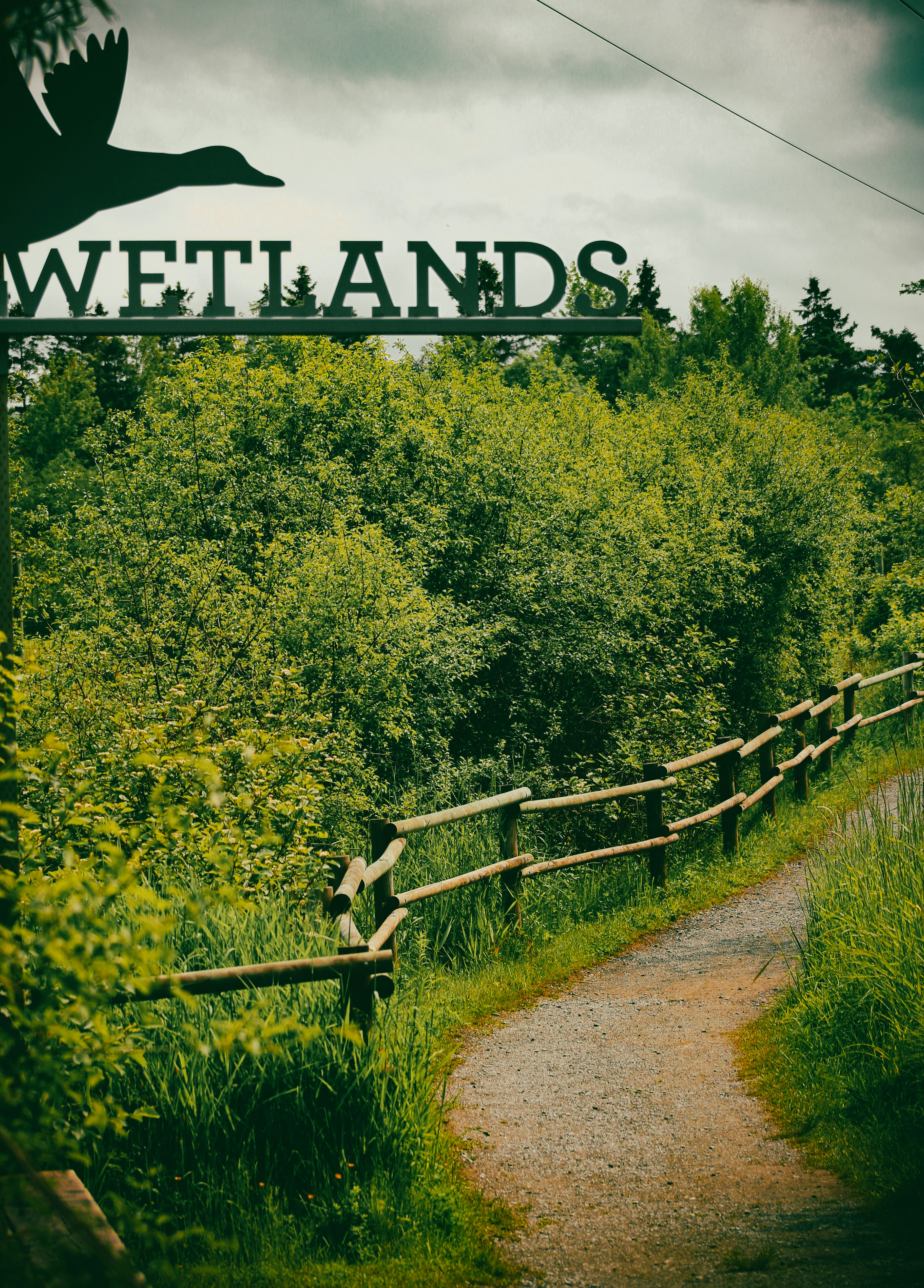 The wetlands sign welcomes visitors to a trail. photo – Free Forest ...