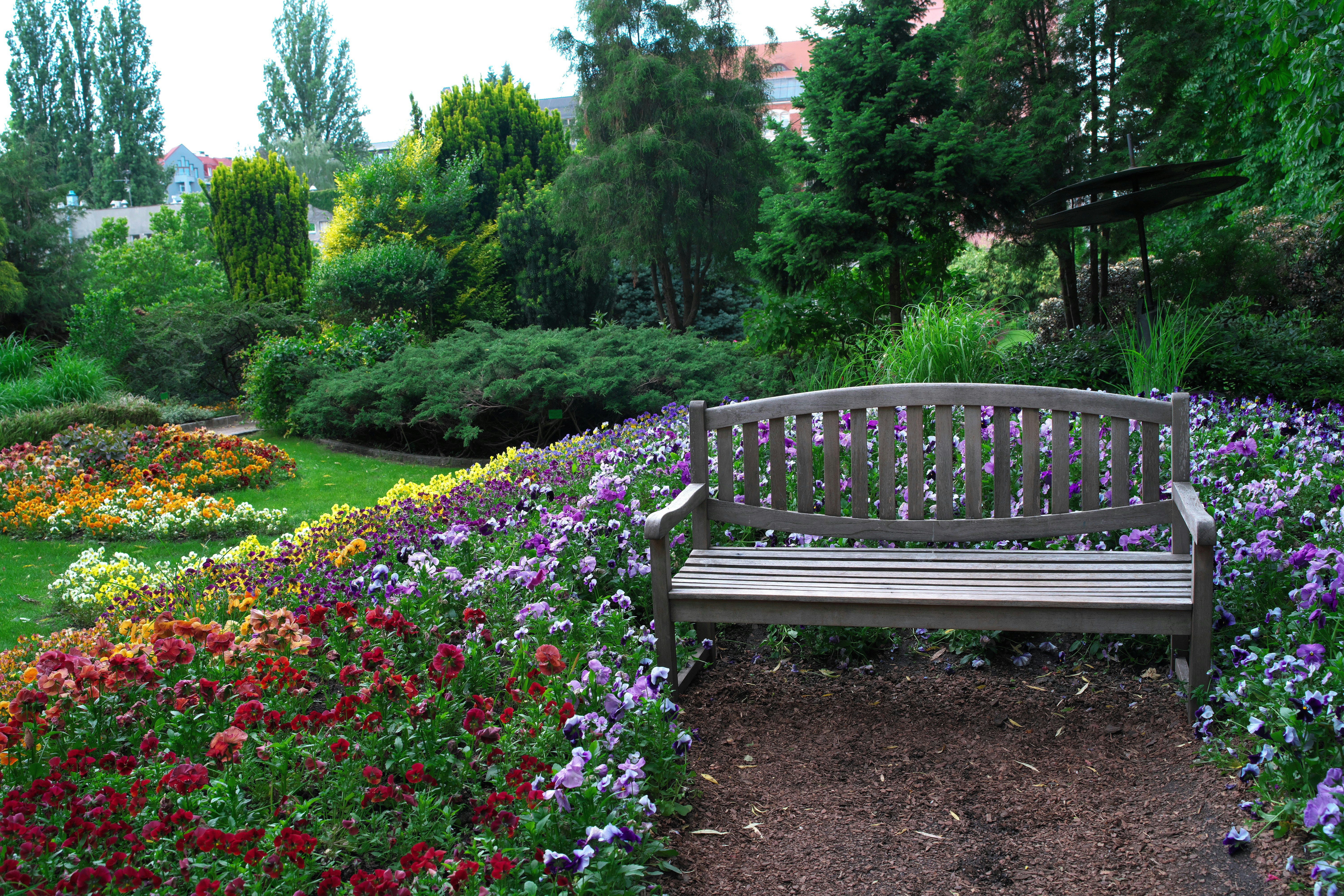 Wooden bench nestled among vibrant flower beds in a tranquil garden setting.