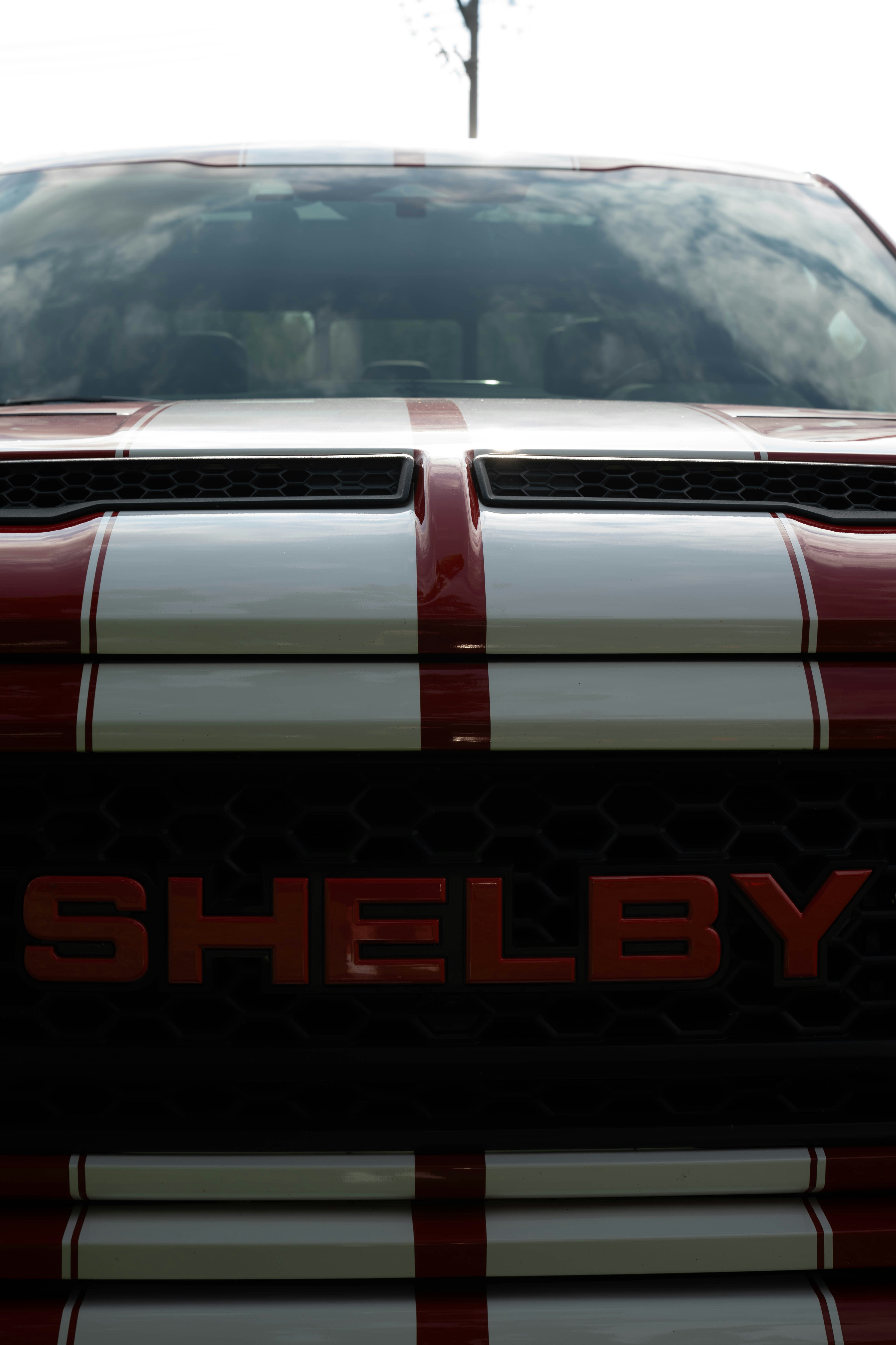 A red shelby mustang with white racing stripes. photo – Free Car Image ...