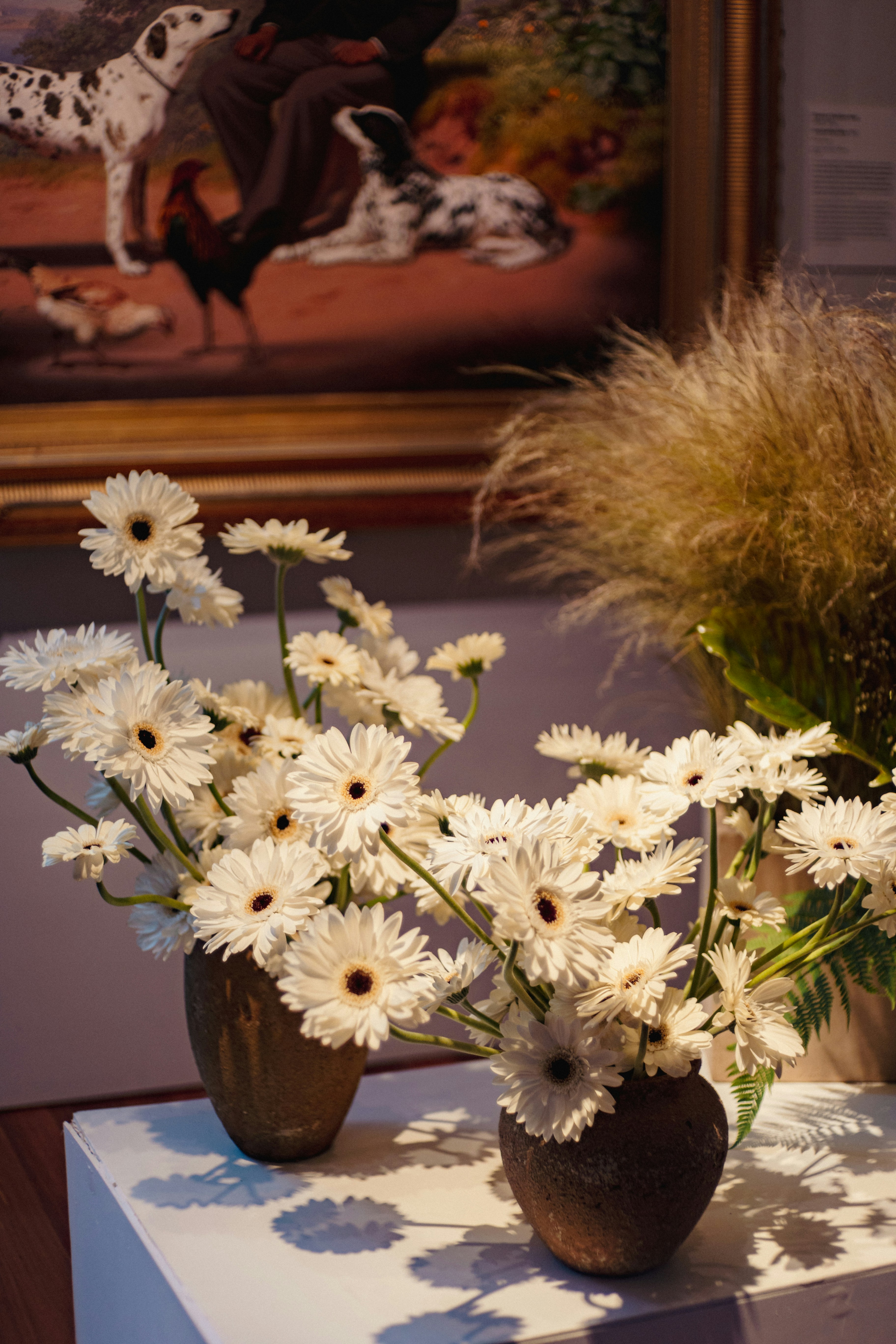 White Gerbera Still Life Beneath a Framed Portrait