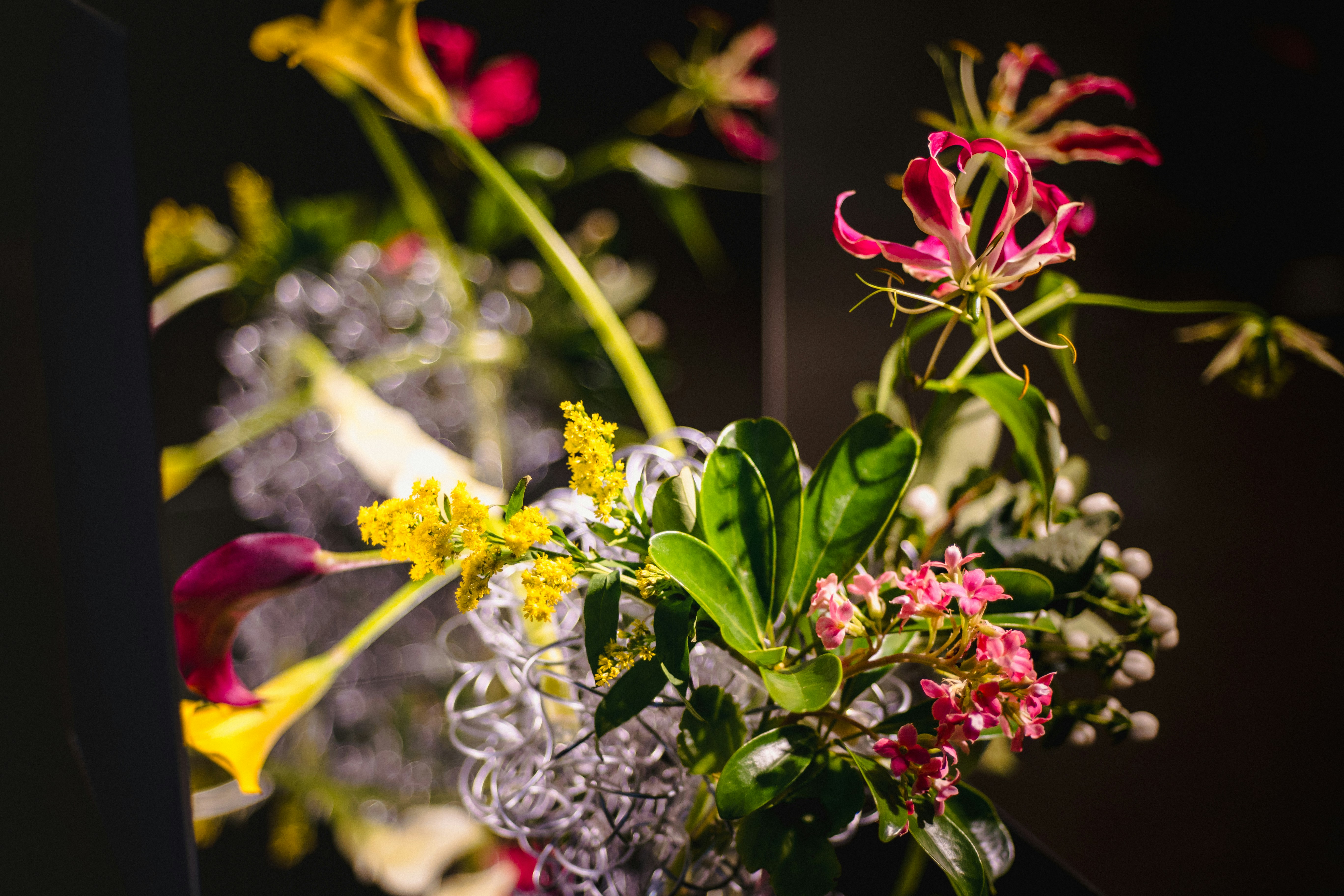 Vibrant Floral Arrangement in Soft Spotlight