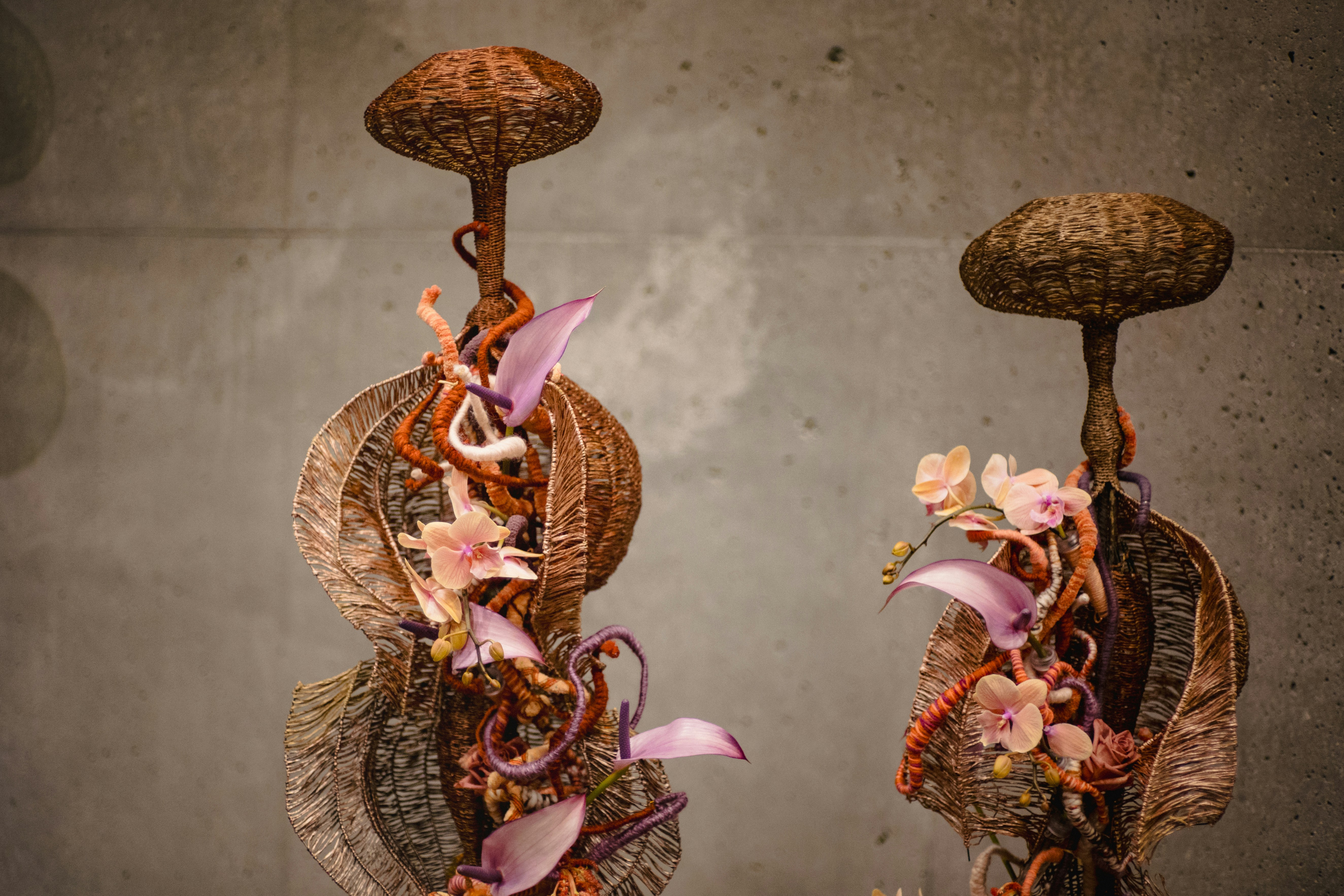 Ornamental Spirals: Pink Orchids Woven Through Dried Seed Pods