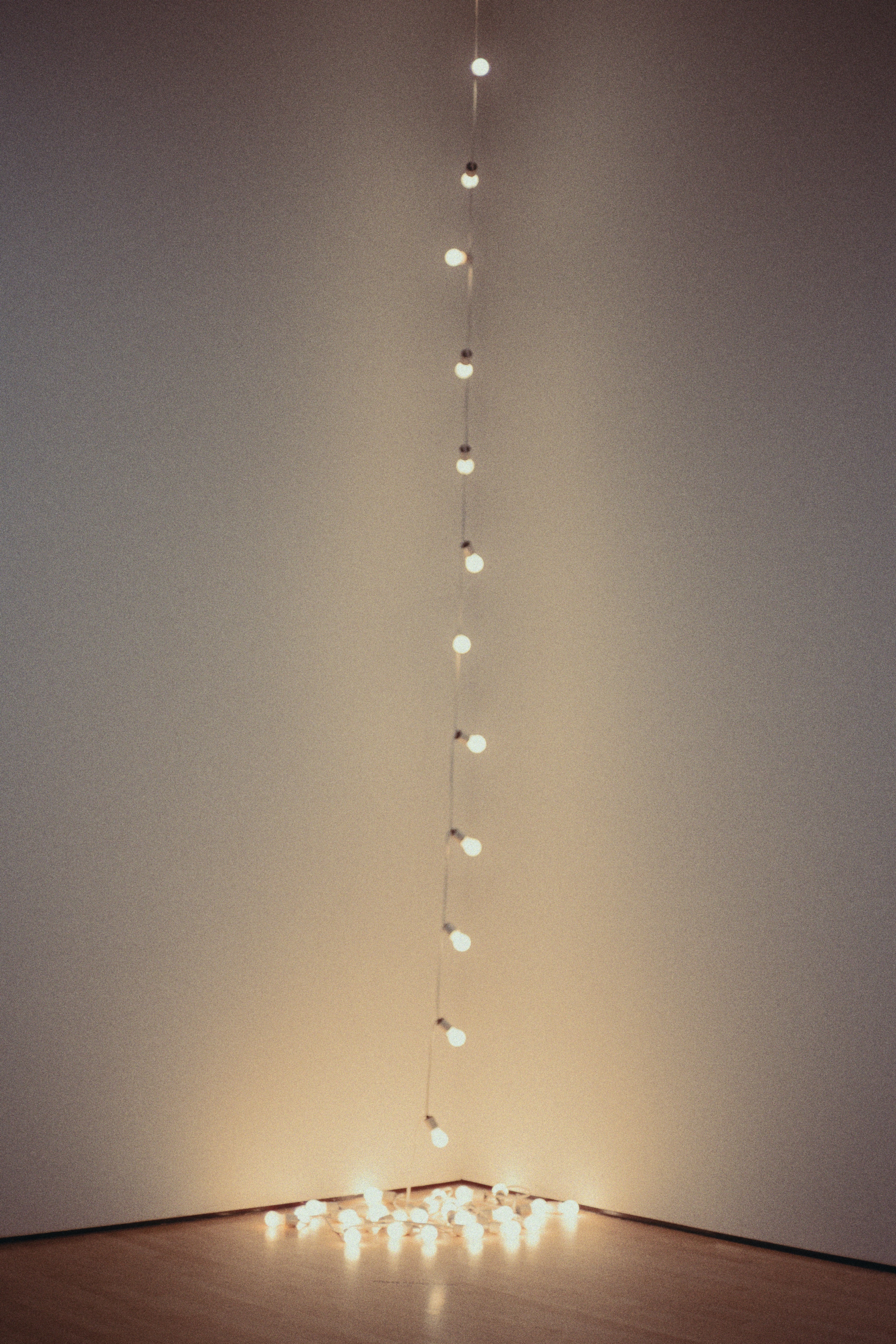 Whispers of Light: A Serene Glow