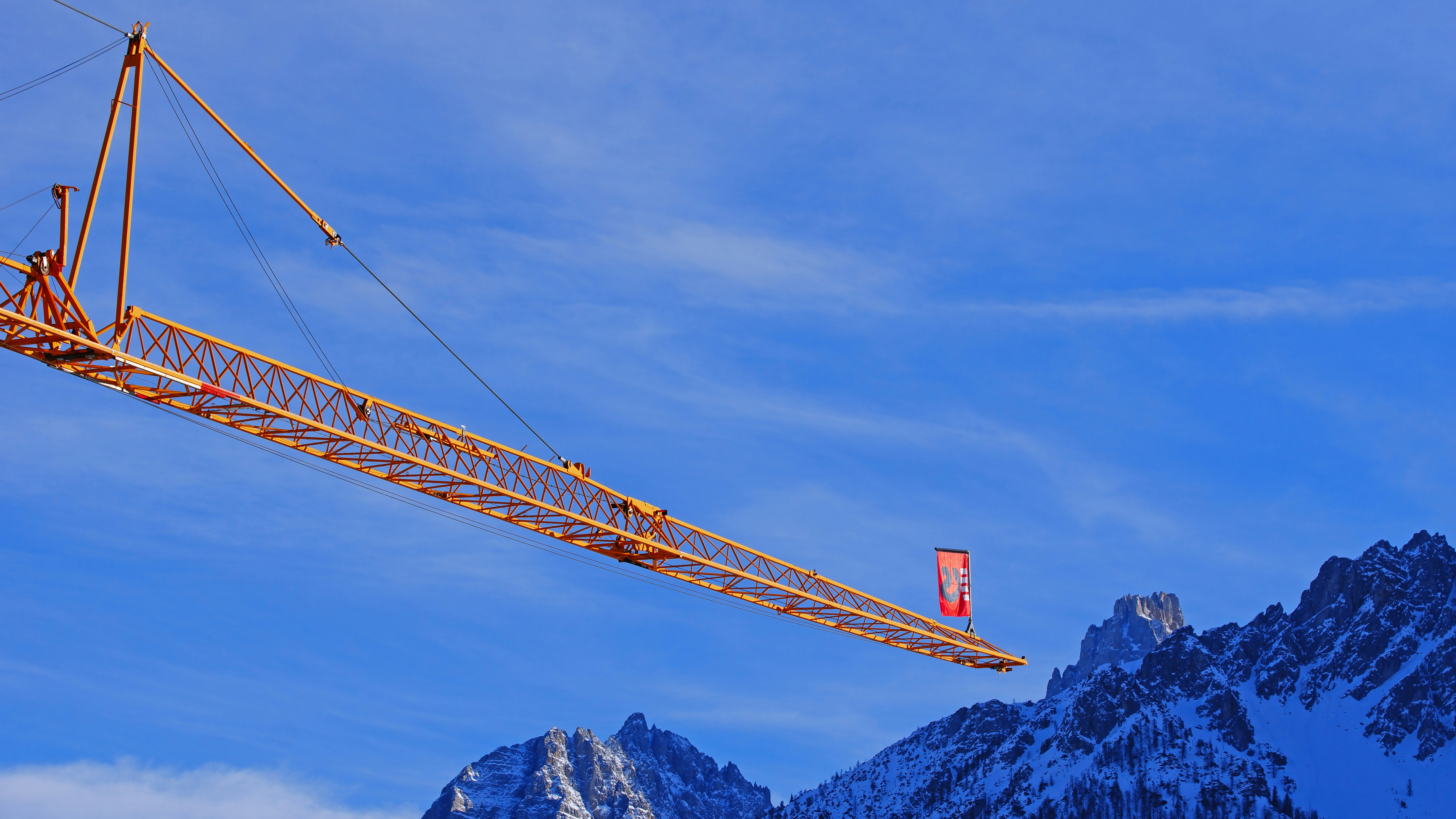 Crane Arc Over Snow-Capped Peaks at Dusk