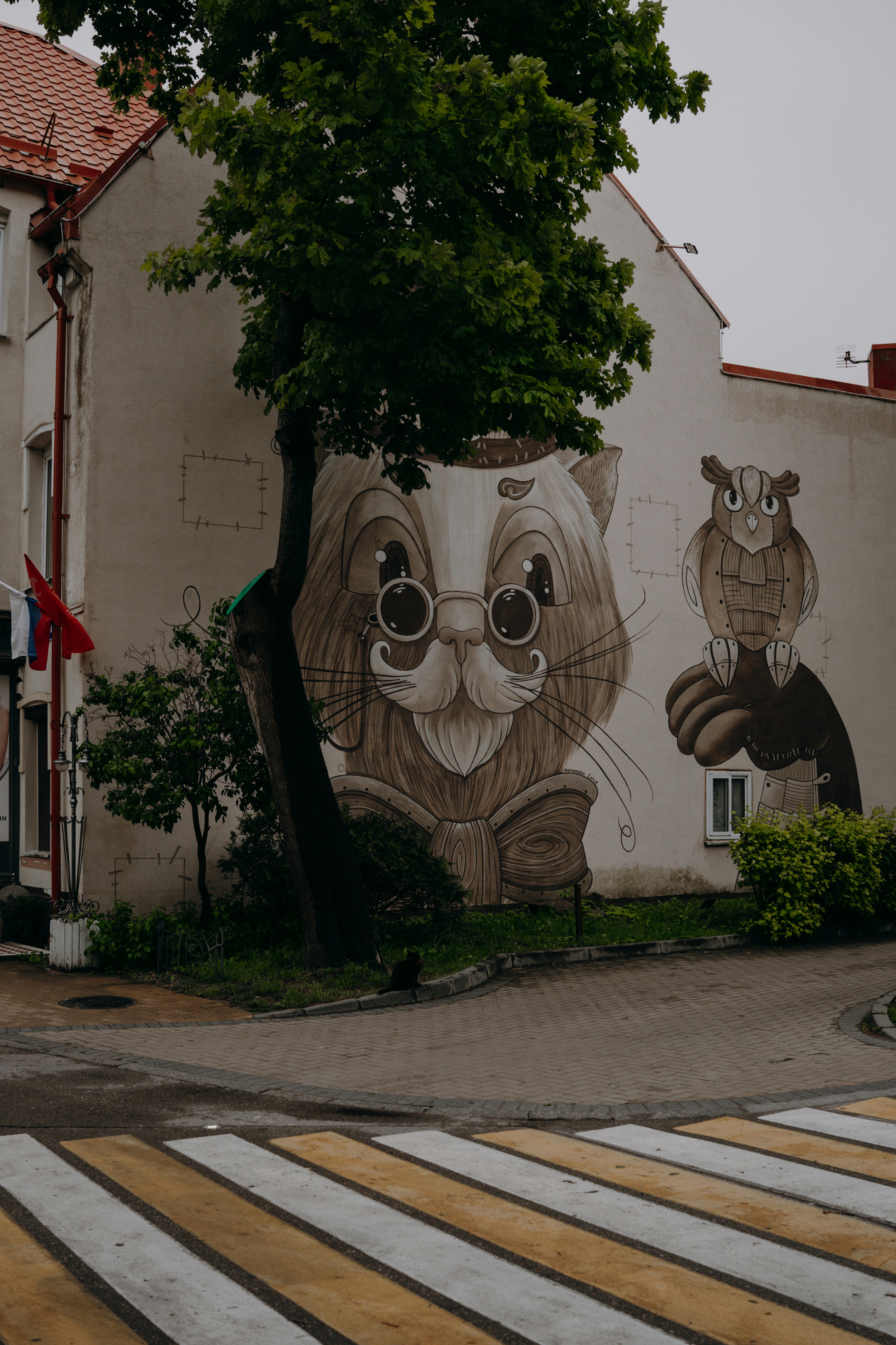 Glassed Cat on a Wall: A Street Mural with an Owl Guardian