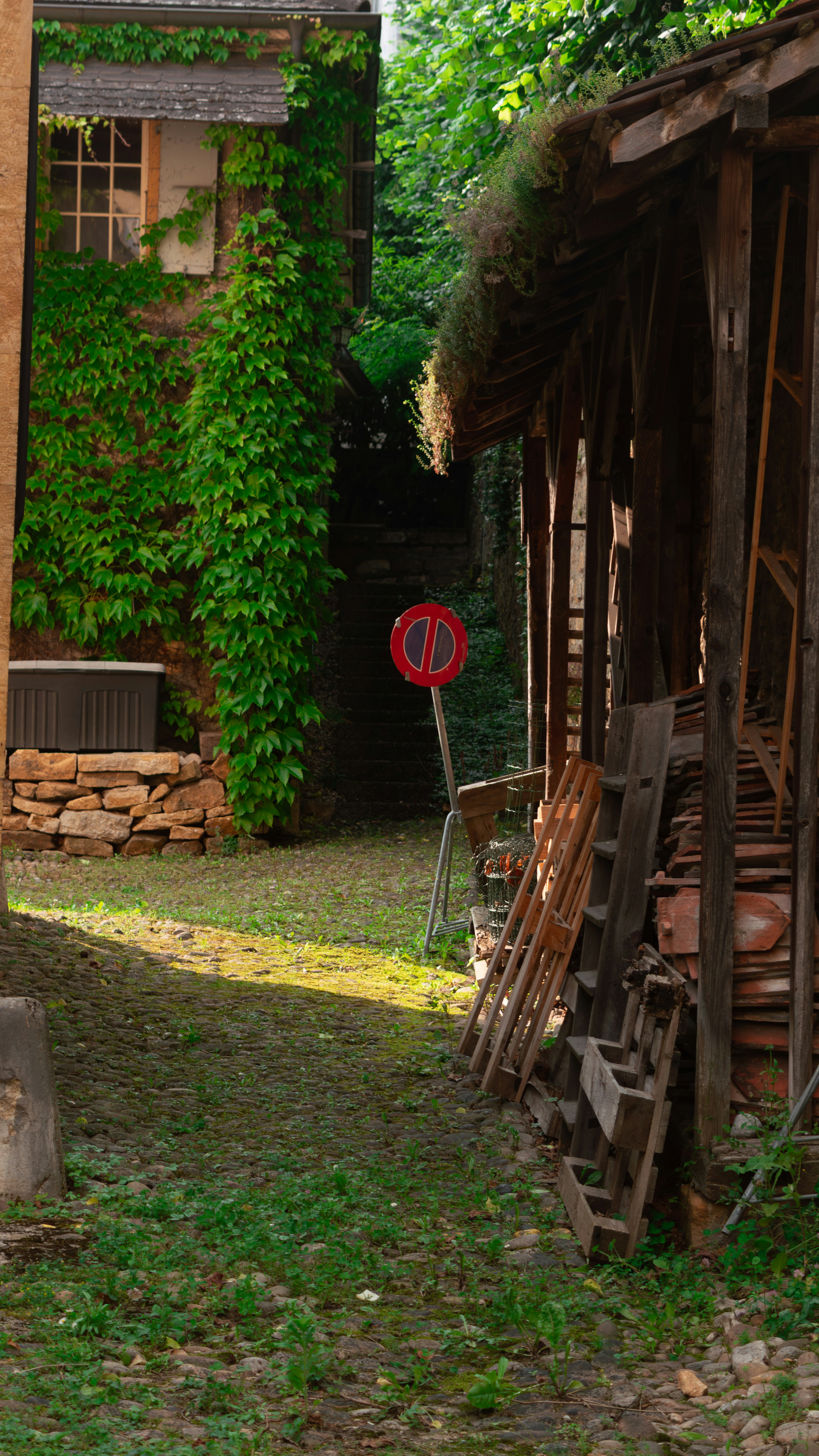 Old building taken over by nature. | A pathway, building, and a "no parking" sign.
