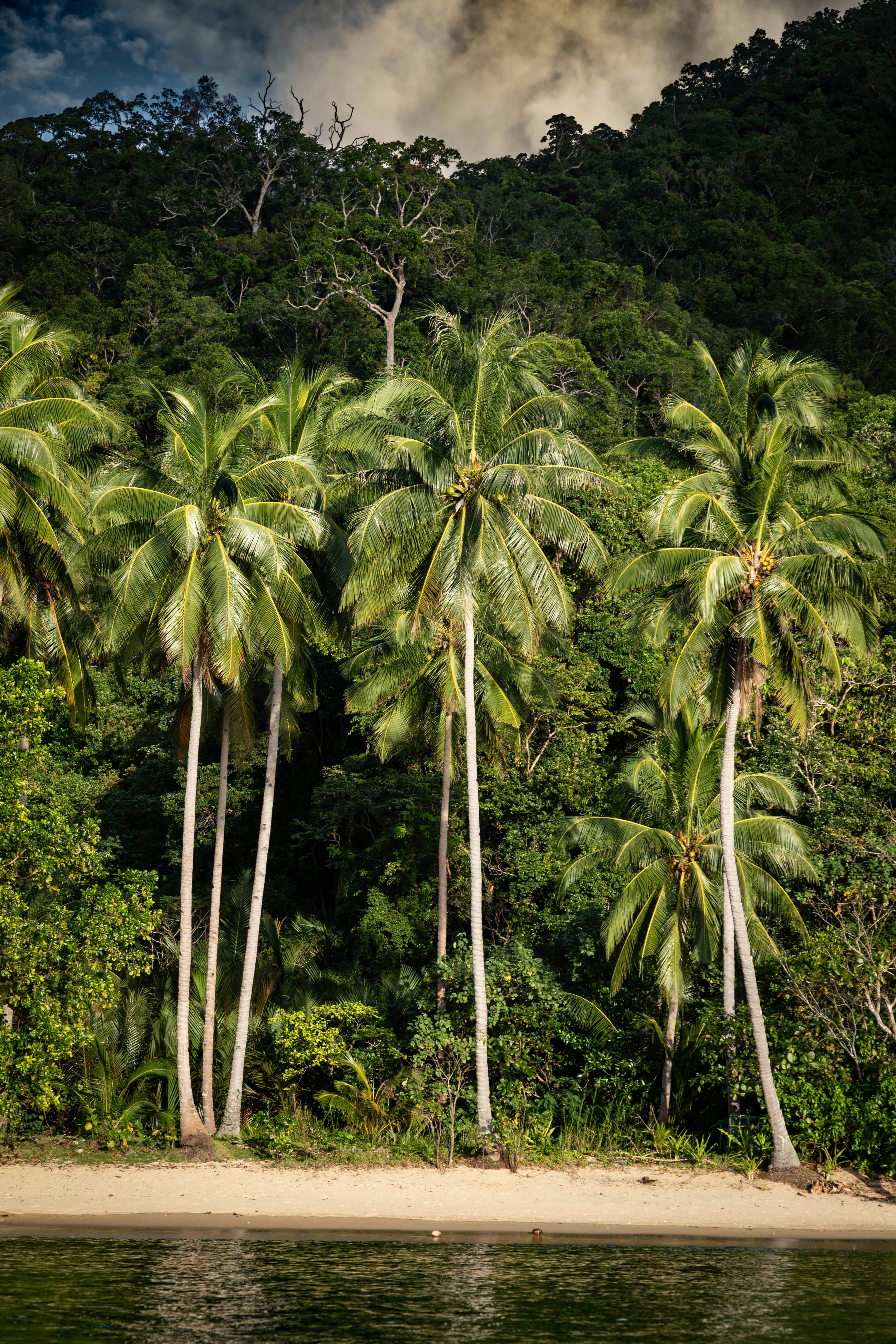 Photo by Bernd 📷 Dittrich with Canon EOS 6D Mark II