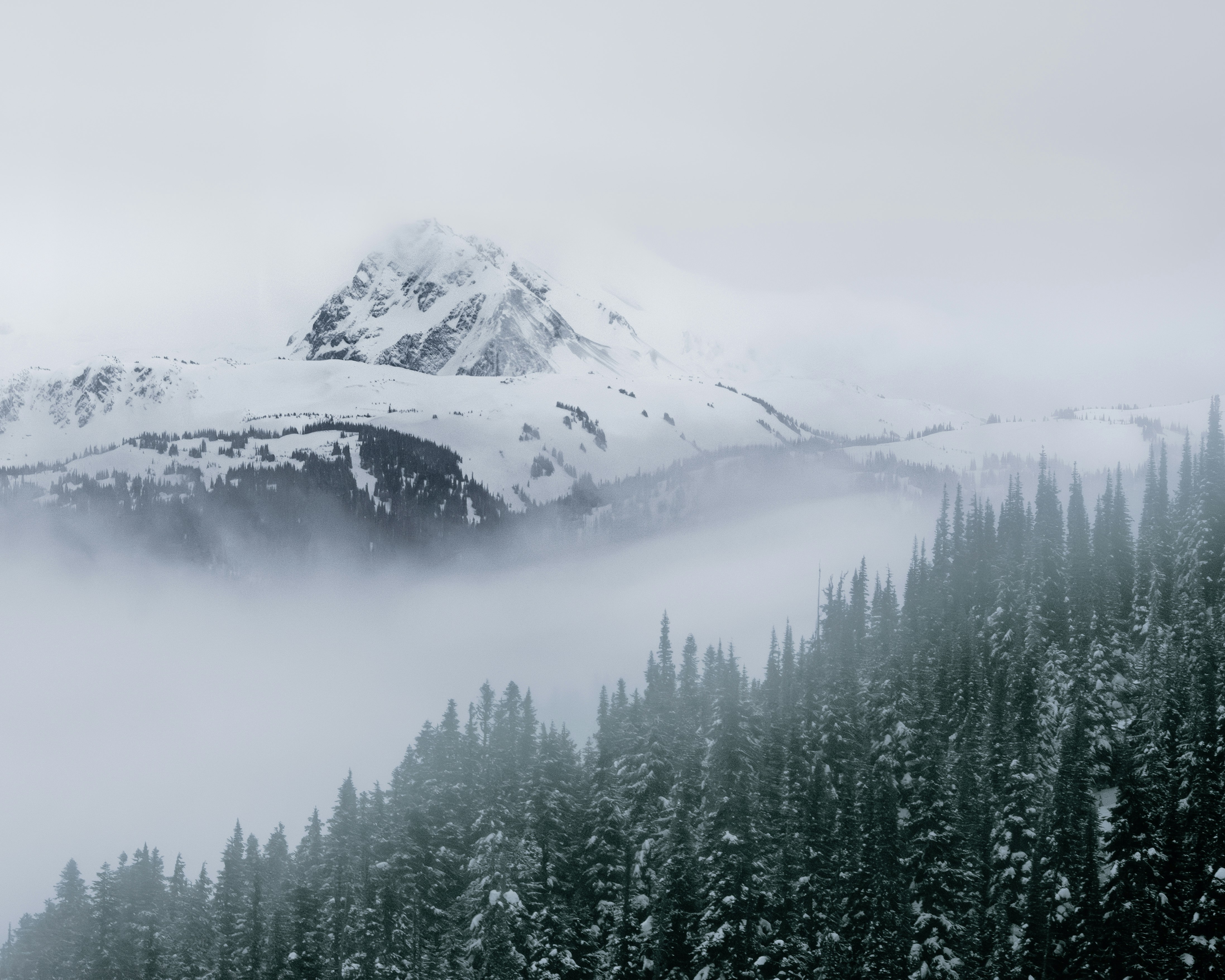 From series "Gems of British Columbia". MOre stuff https://www.instagram.com/dovydas.moc/ | Snowy mountain peak amidst a foggy forest.