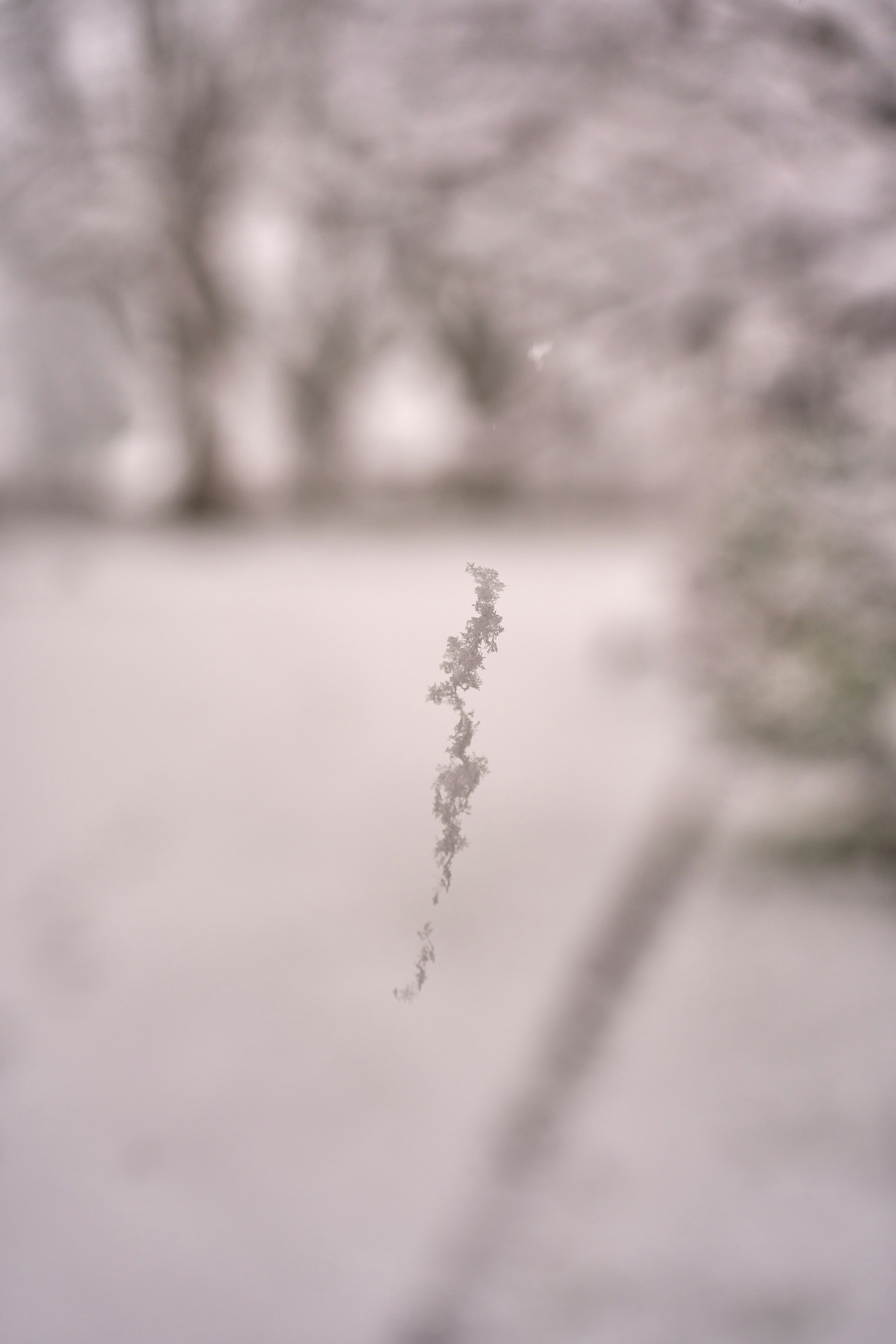 Whispers of Winter's Embrace